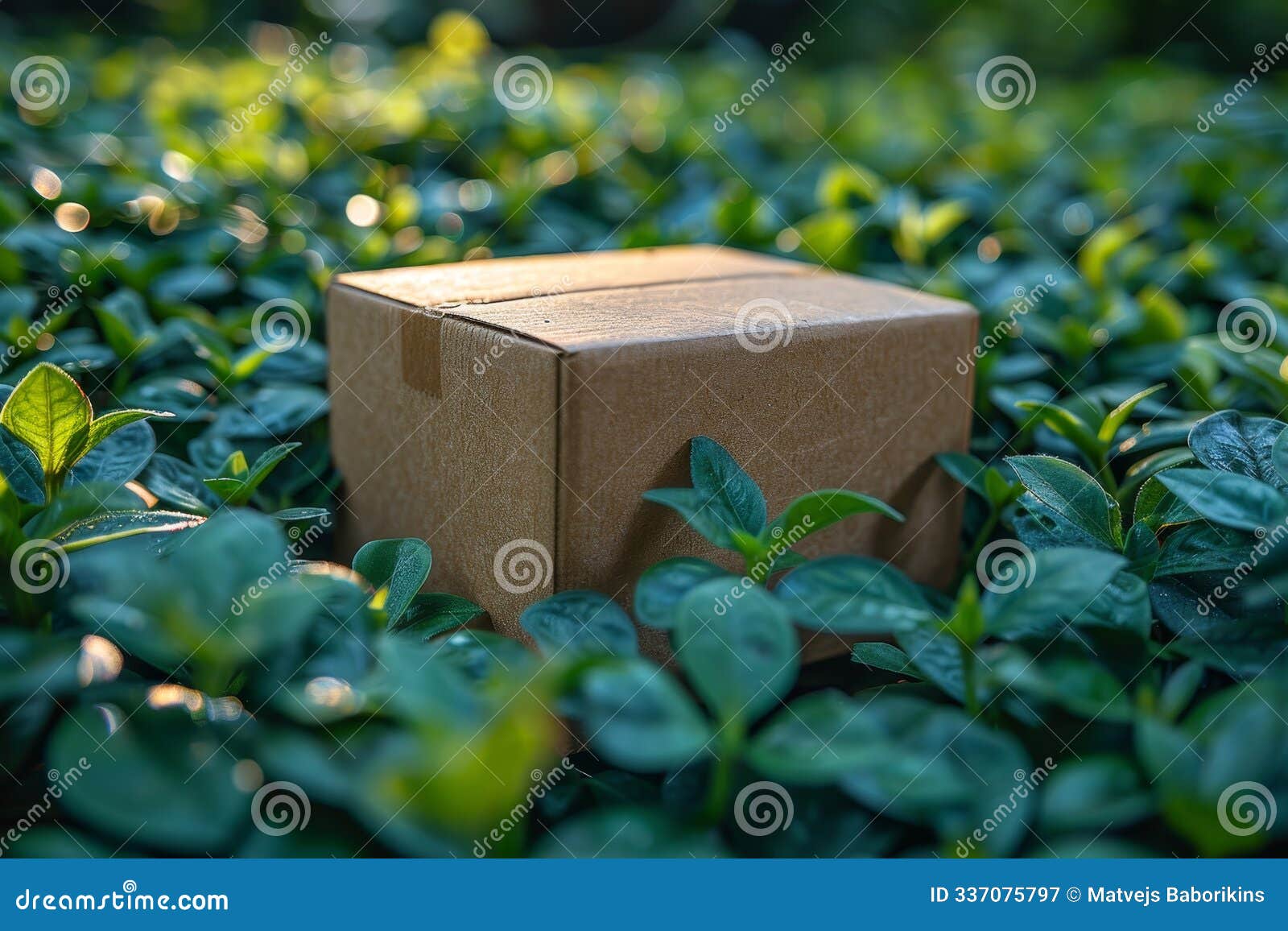 Miniature Corrugated Box On The Grass A Reflection On Recycled ...