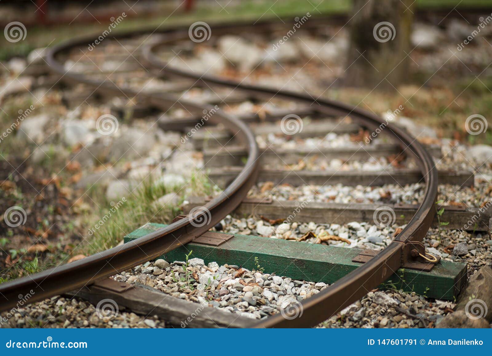 Curved Train Tracks Railroad Rail Crossing Woods Forest Royalty-Free ...