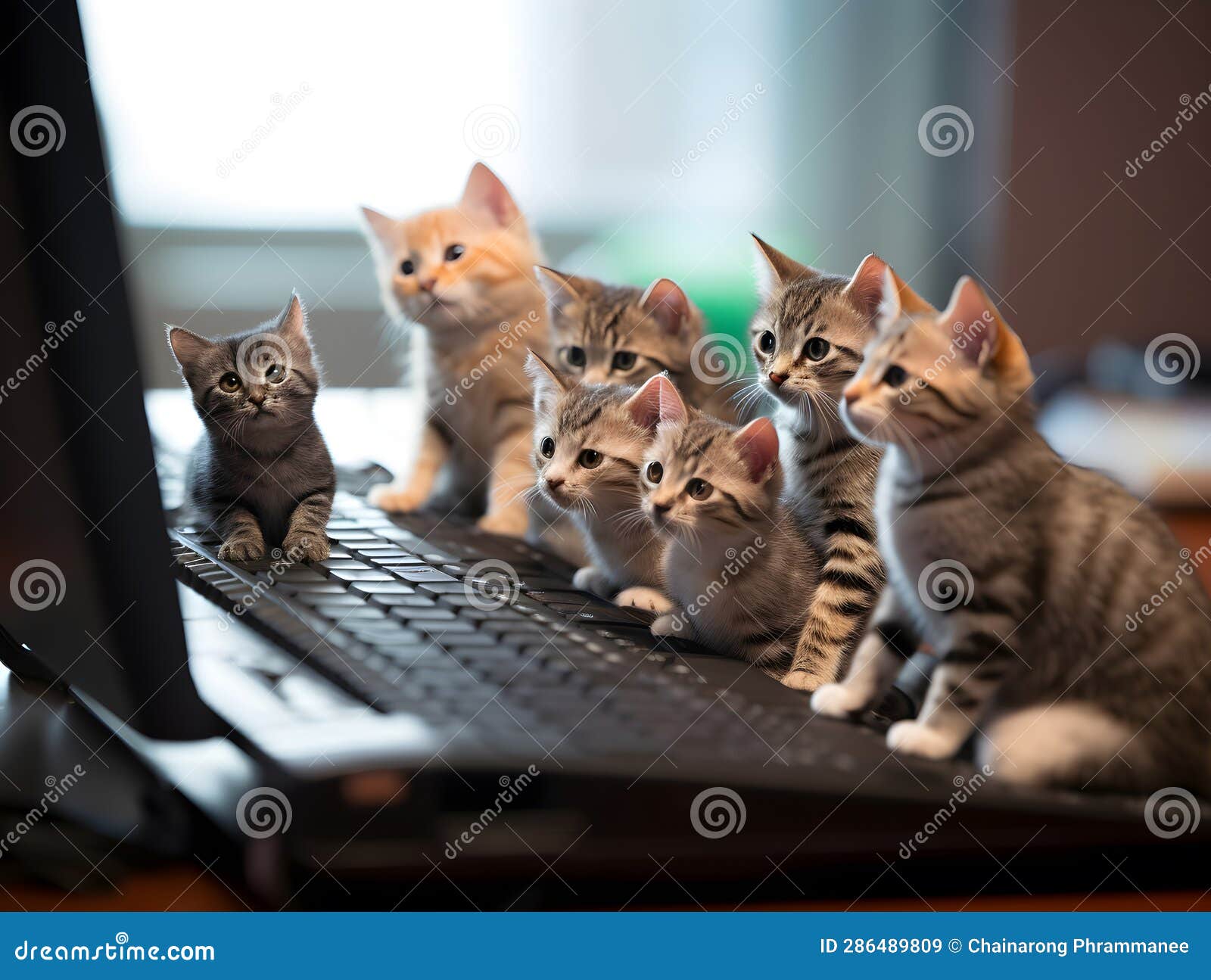 Miniature Cute Plant Royalty-Free Illustration | CartoonDealer.com ...