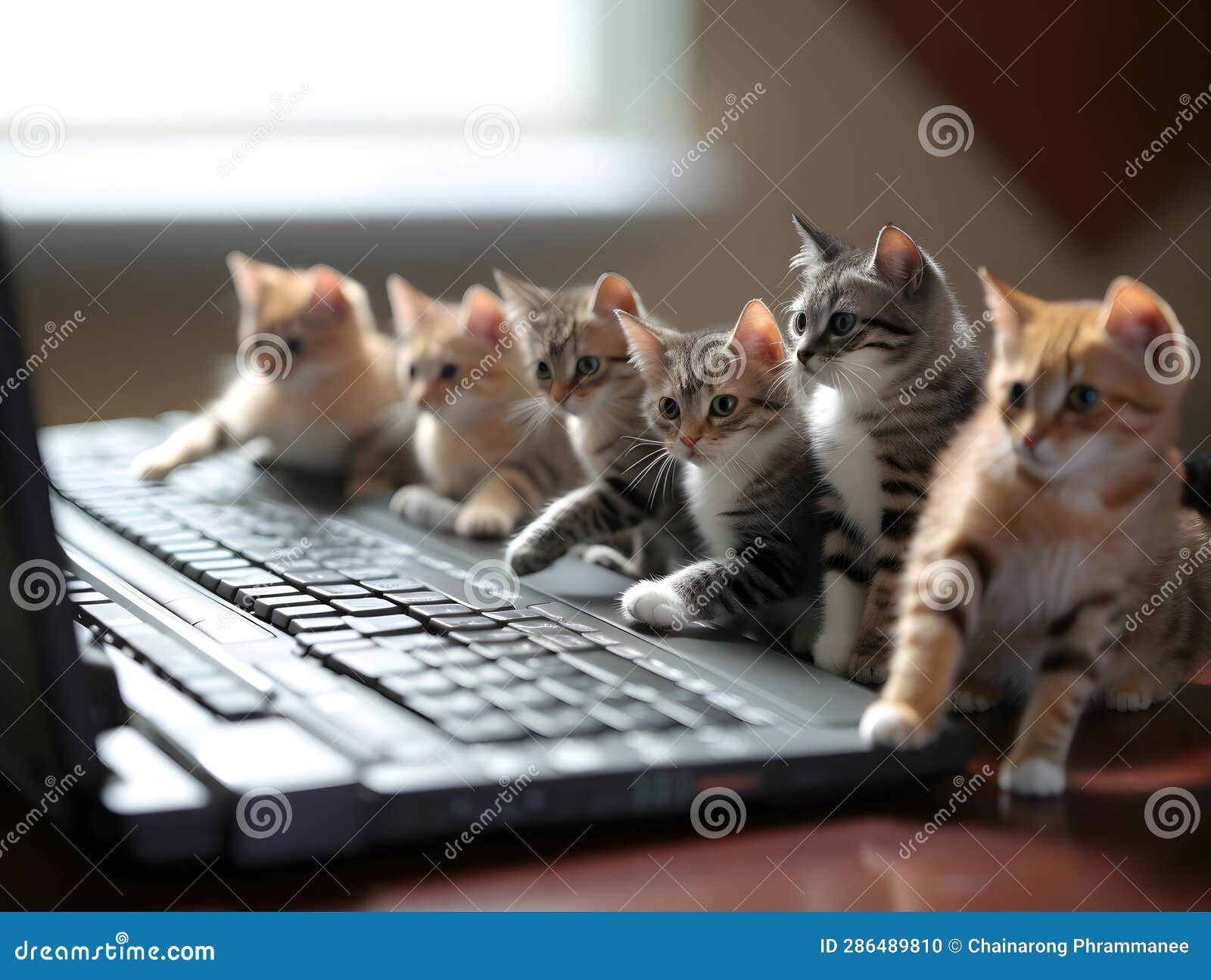 Miniature Cute Cats and Computer, Generative Ai Stock Illustration ...
