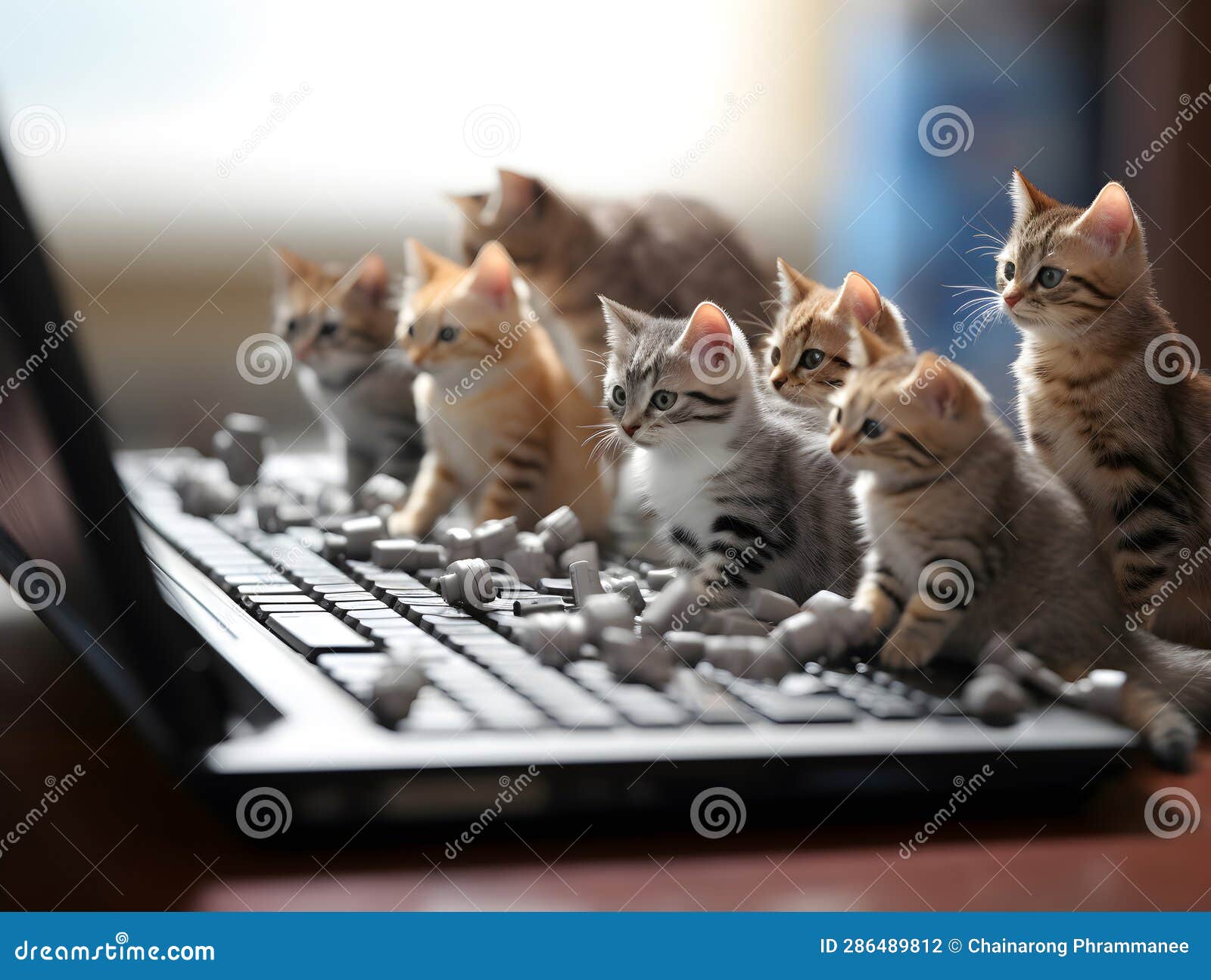 Miniature Cute Cats and Computer, Generative Ai Stock Illustration ...