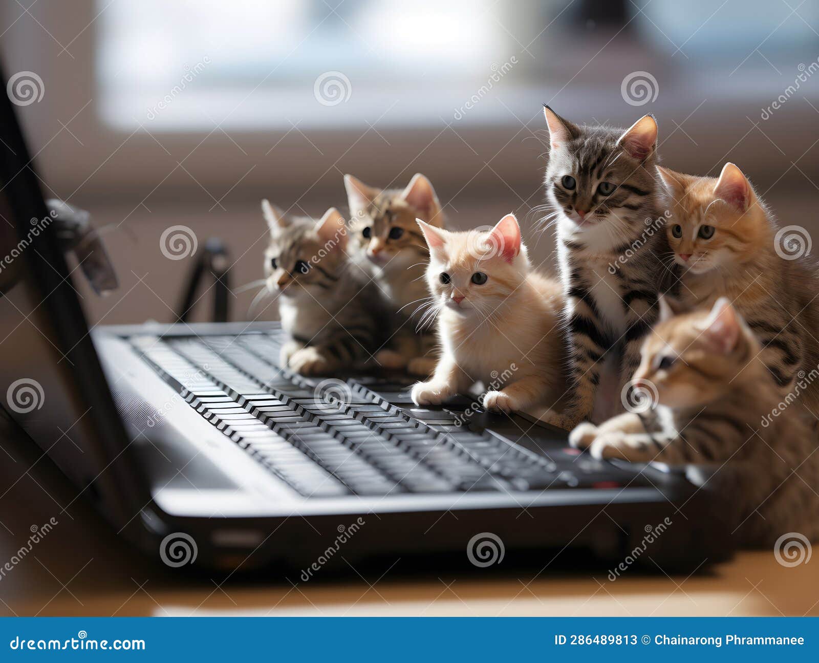 Miniature Cute Cats and Computer, Generative Ai Stock Illustration ...