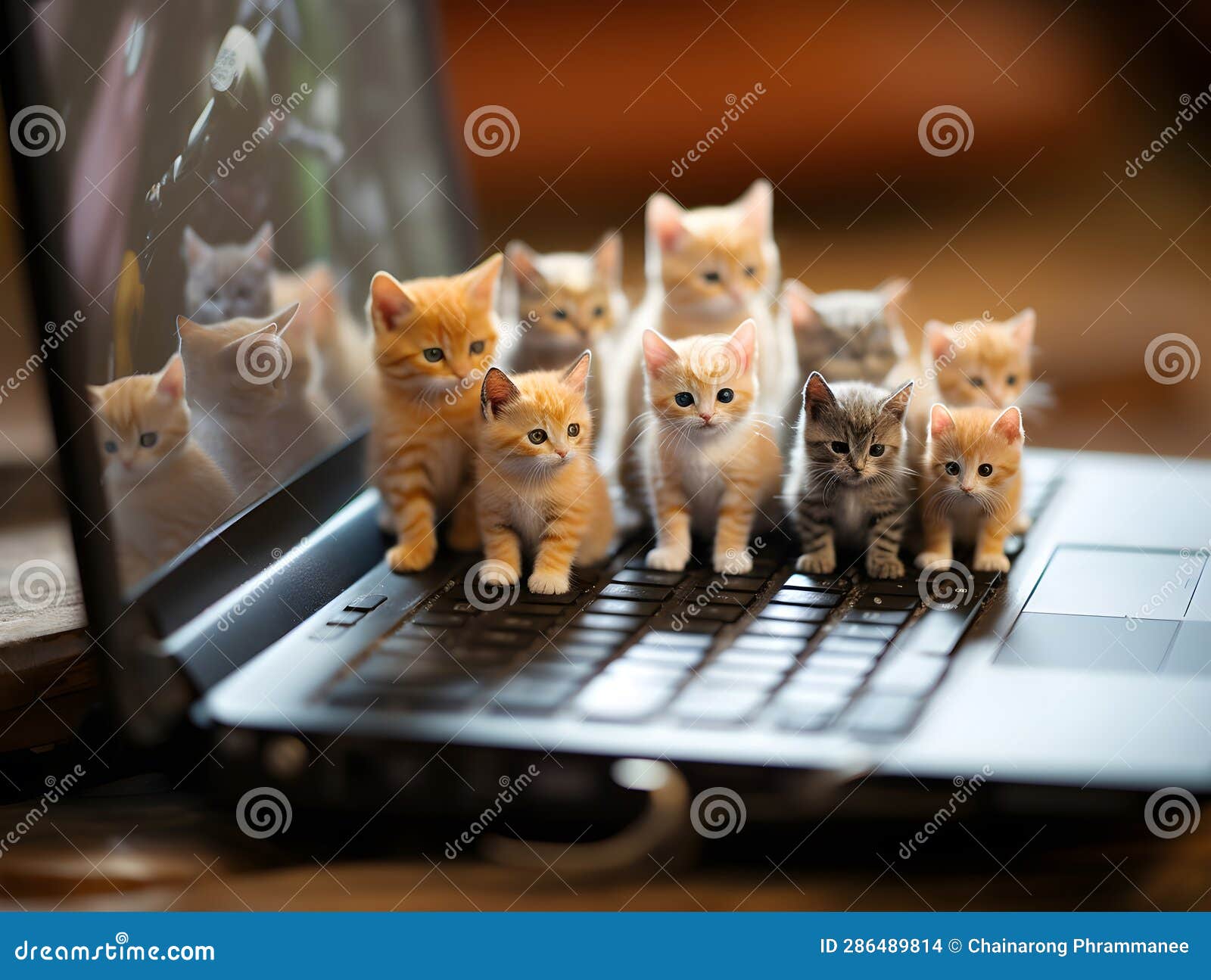 Miniature Cute Cats and Computer, Generative Ai Stock Illustration ...
