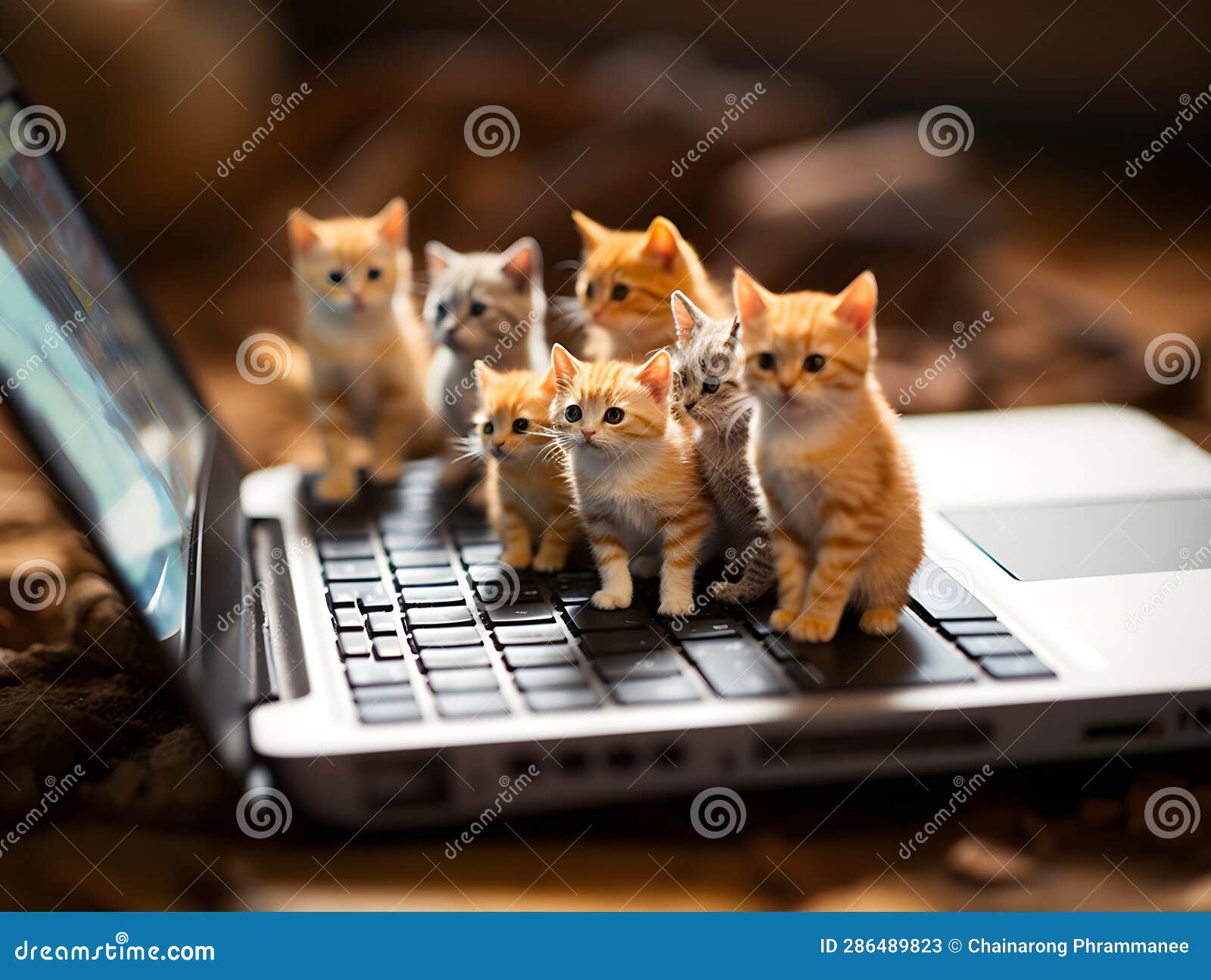 Miniature Cute Cats and Computer, Generative Ai Stock Illustration ...