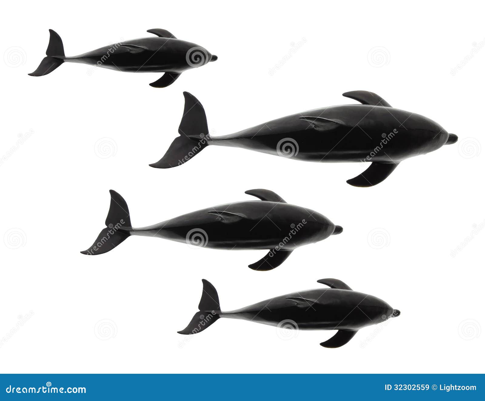 Miniature Dolphins stock image. Image of tropical, mammal - 32302559