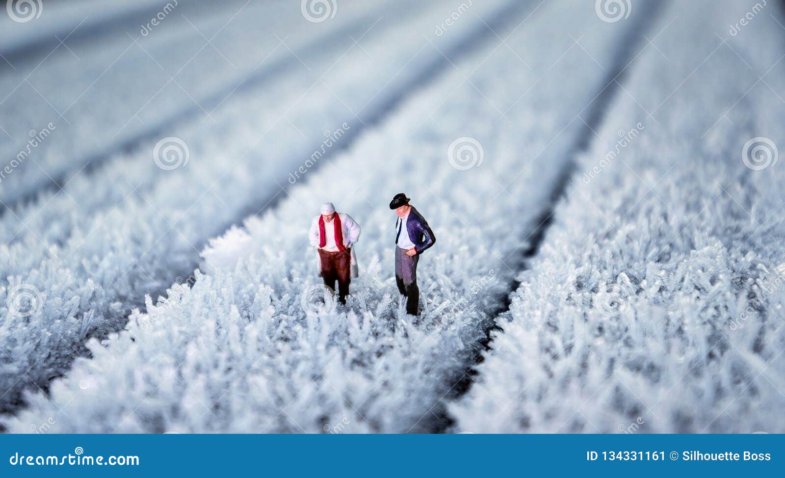 Miniature Figure Look on Frost Ice and Snow Stock Image - Image of ...