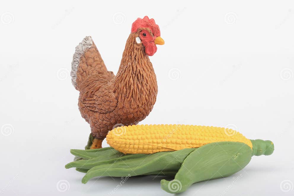Miniature Figurine of a Hen with Corn Cob Stock Image - Image of ...
