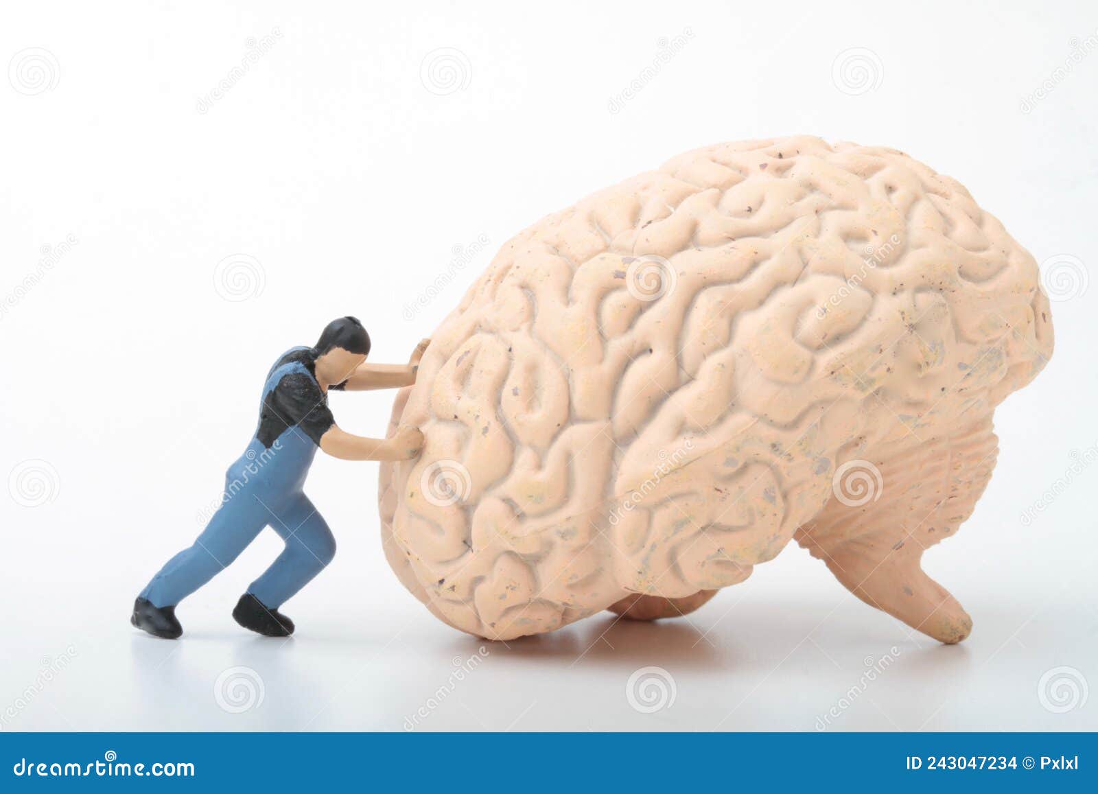 Miniature Figurine Of A Man Pushing A Giant Brain Stock Photography ...