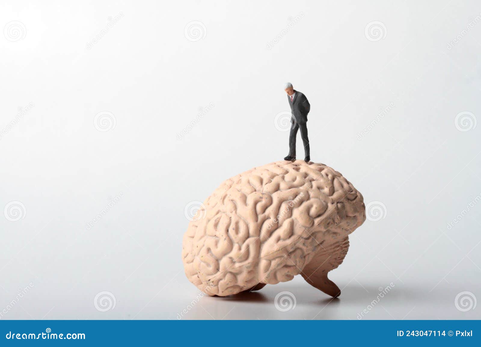 Miniature Figurine of a Teacher on a Giant Brain Stock Photo - Image of ...