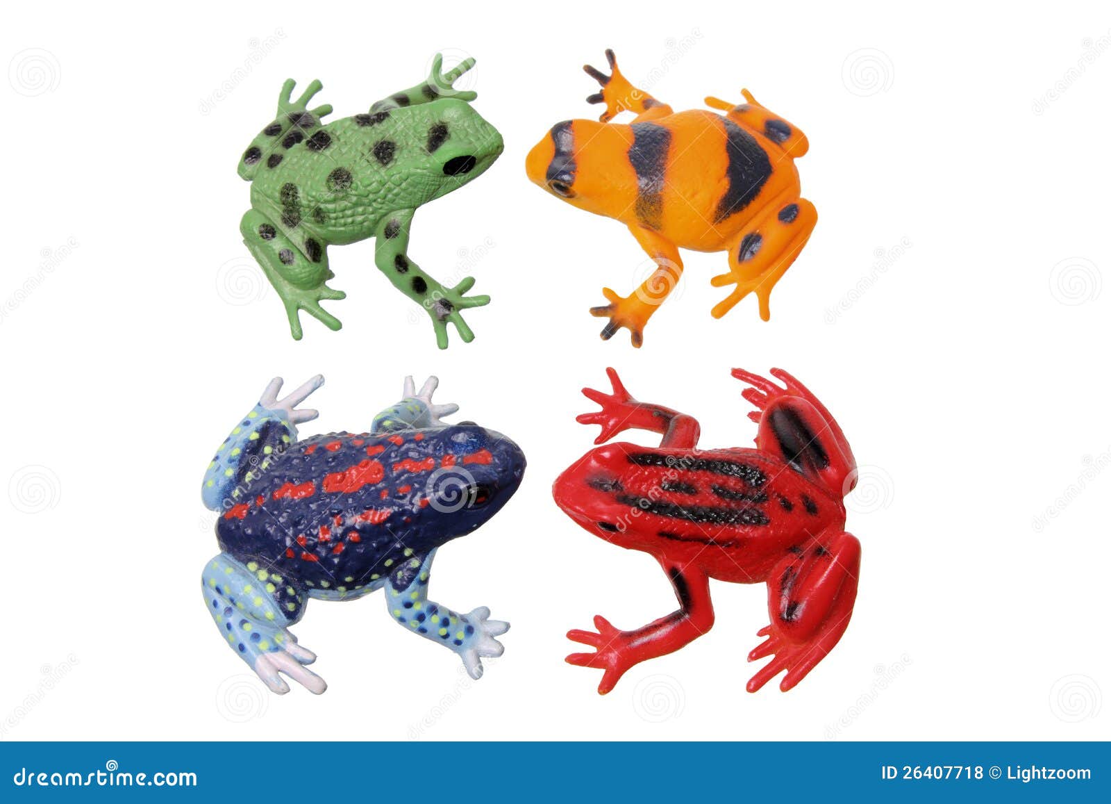 Miniature Frogs stock photo. Image of nature, background - 26407718