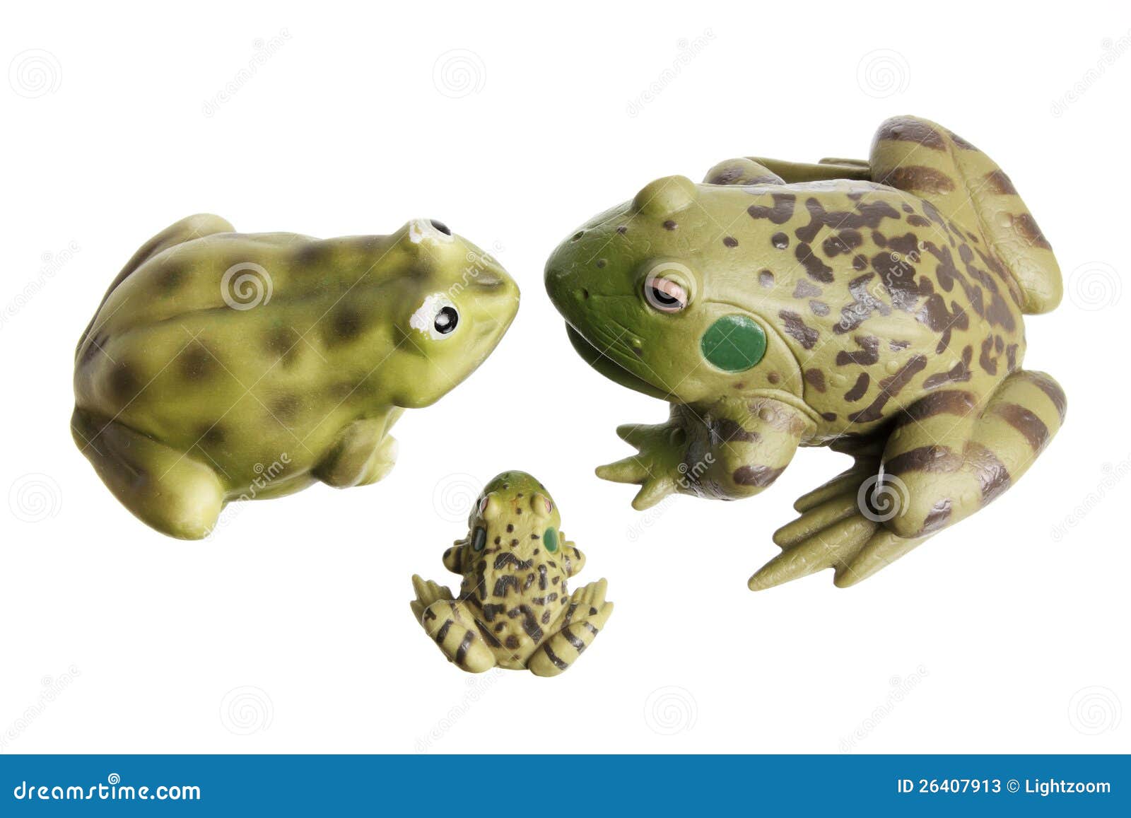 Miniature Frogs stock image. Image of team, rainforest - 26407913