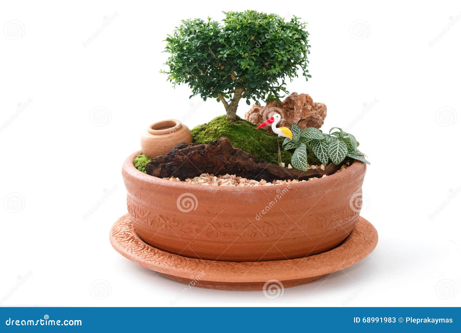 Miniature Garden in a Pot stock image. Image of nature - 68991983