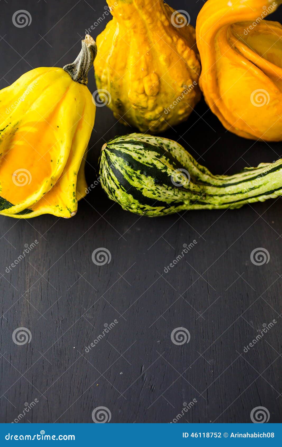 Miniature gourd stock photo. Image of edible, pumpkin - 46118752