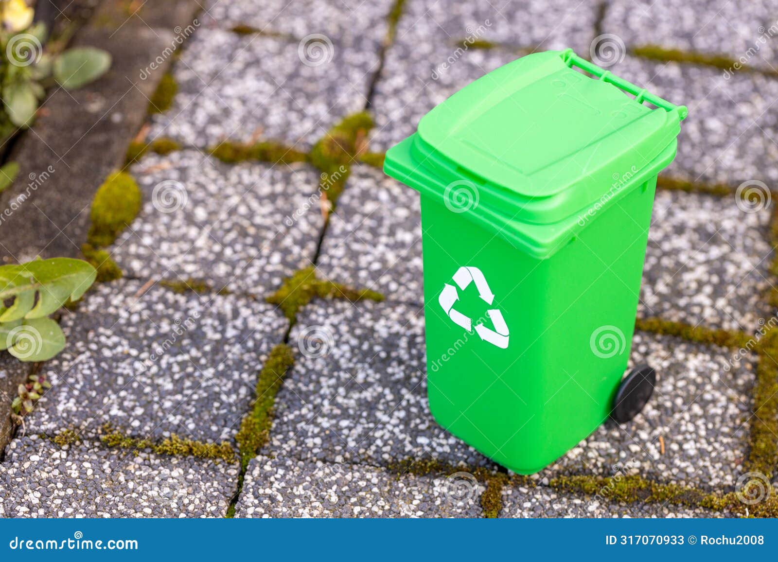Miniature Green Garbage Bin for Biodegradable Waste, Standing on the ...
