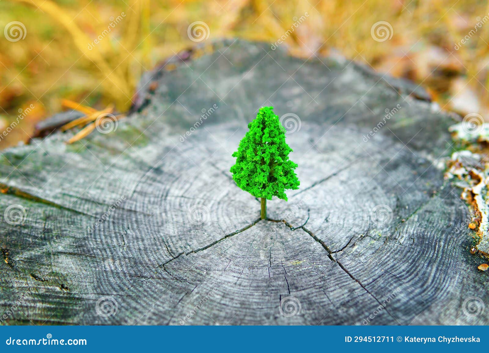 Miniature Green Tree on a Forest Stump Stock Image - Image of closeup ...