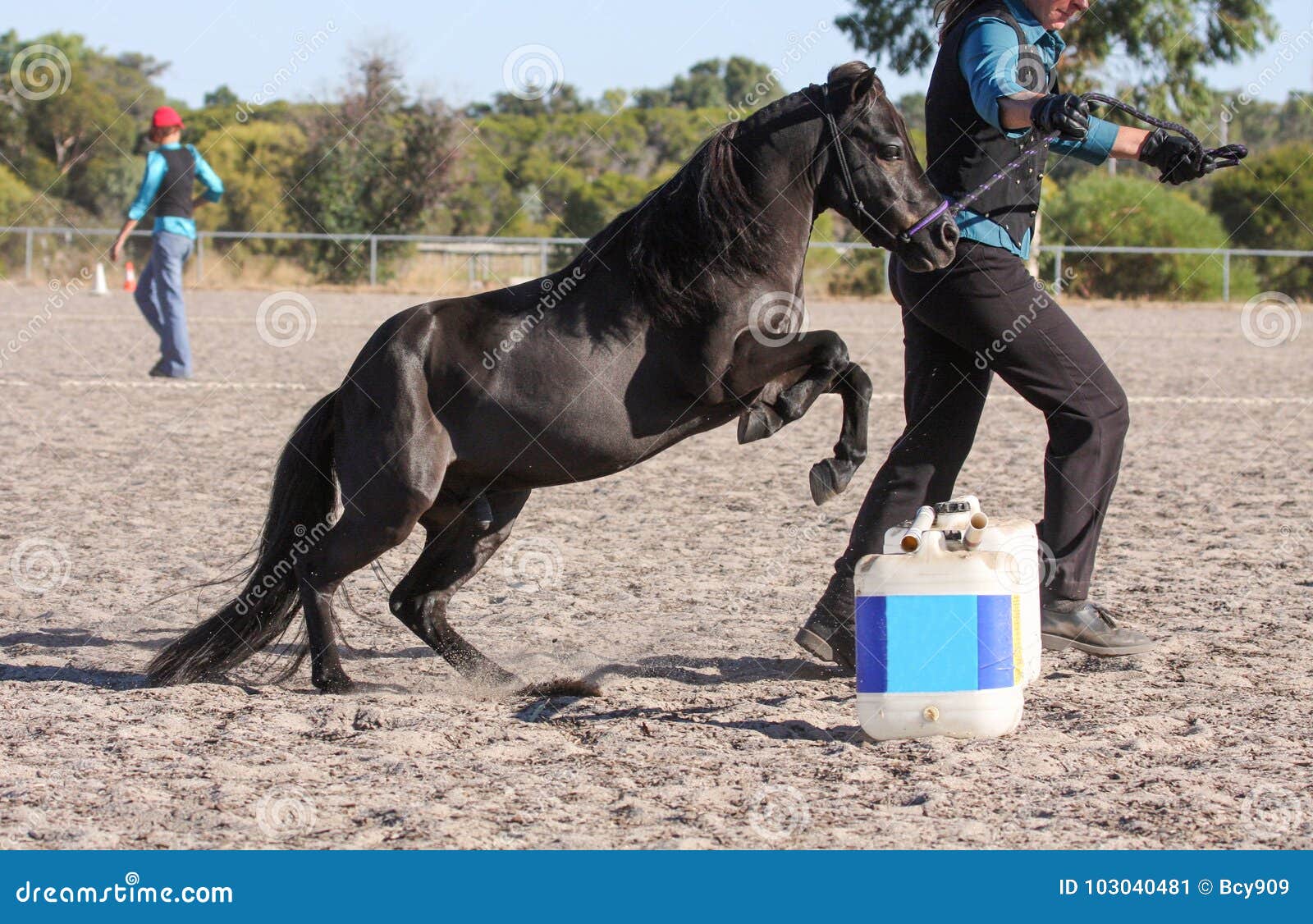 Miniature horse jumping editorial photo. Image of activity - 103040481