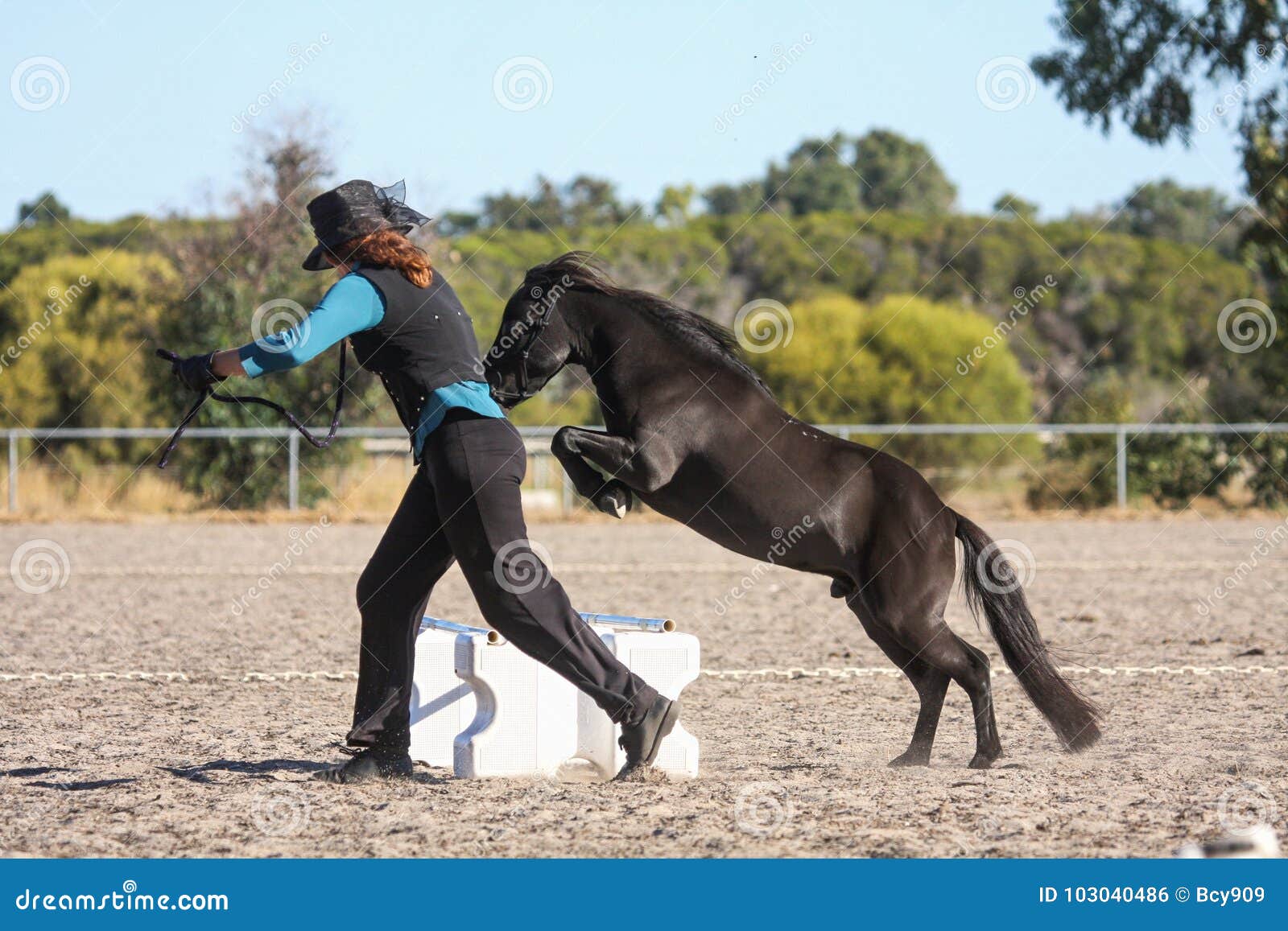 Miniature horse jumping editorial photo. Image of outdoors - 103040486