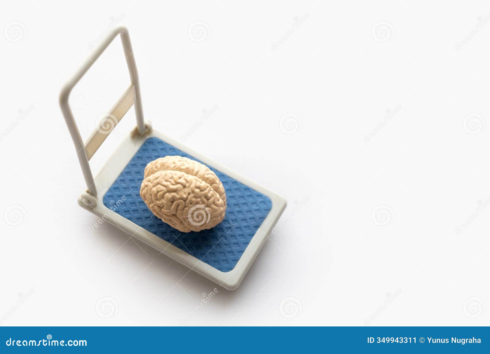 Miniature Human Brain on a Trolley Stock Image - Image of insurance ...