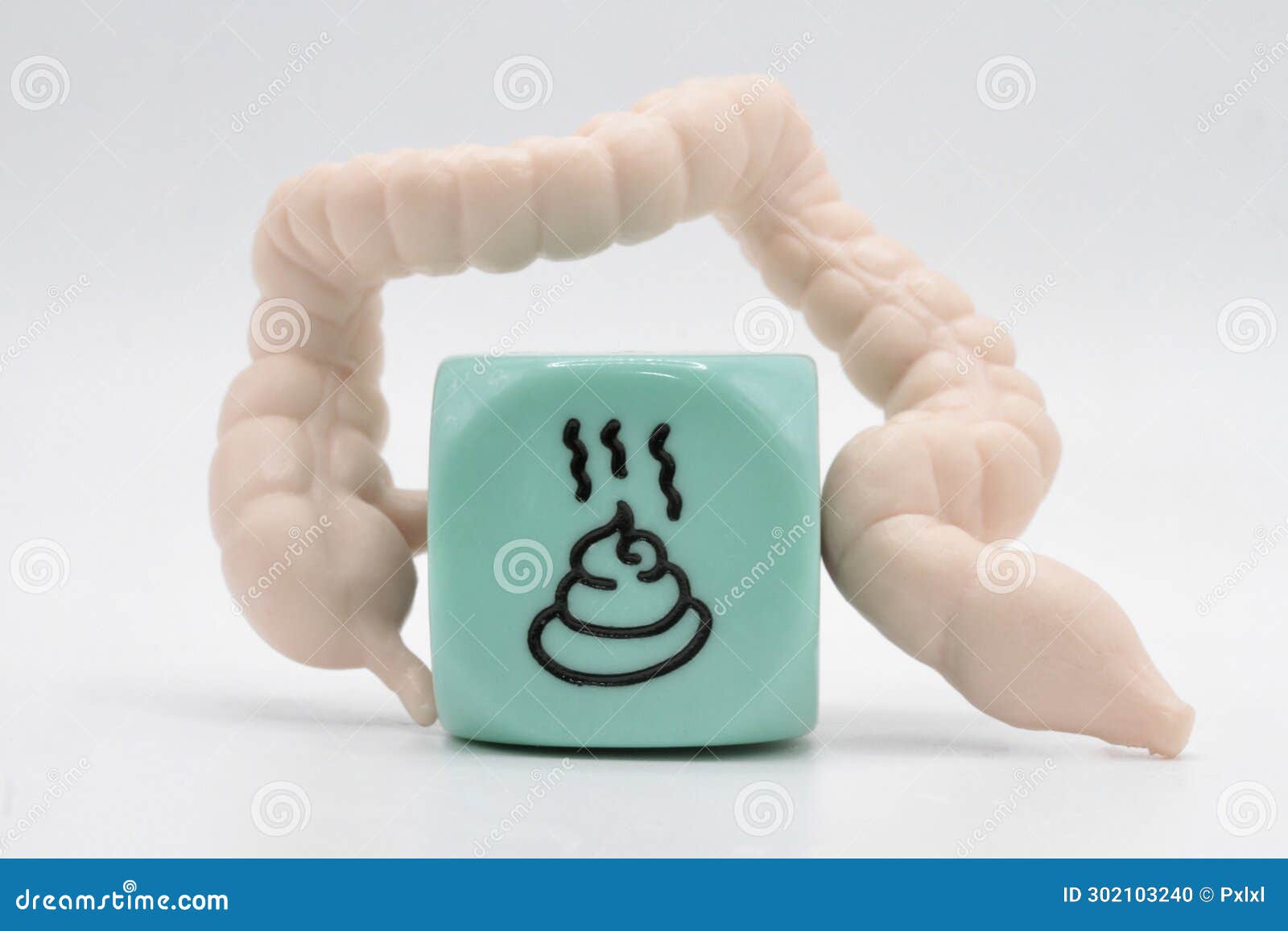 Miniature of Human Intestine with the Symbol of Poo Stock Photo - Image ...