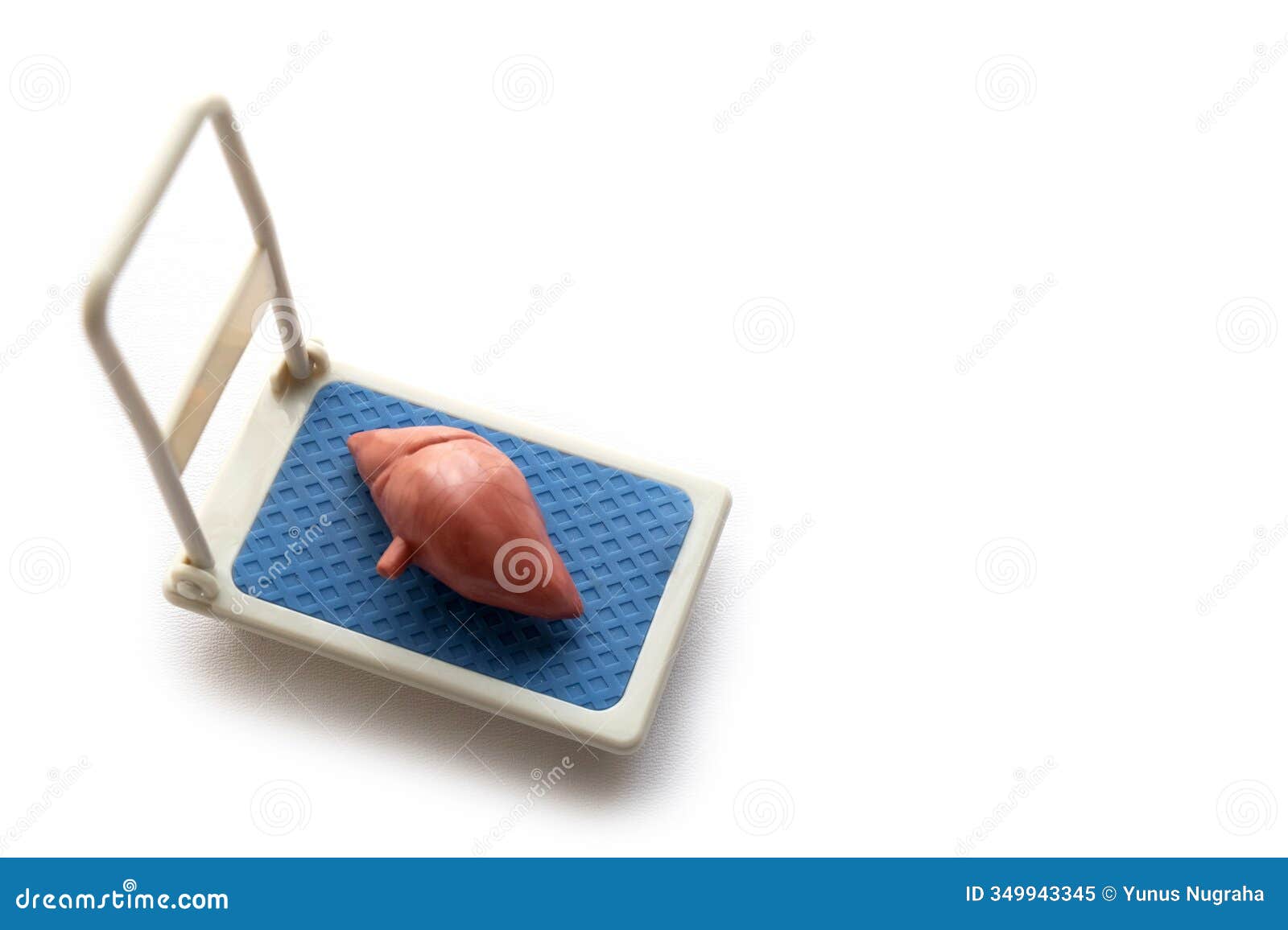 Miniature Human Liver on a Trolley Stock Image - Image of cash ...
