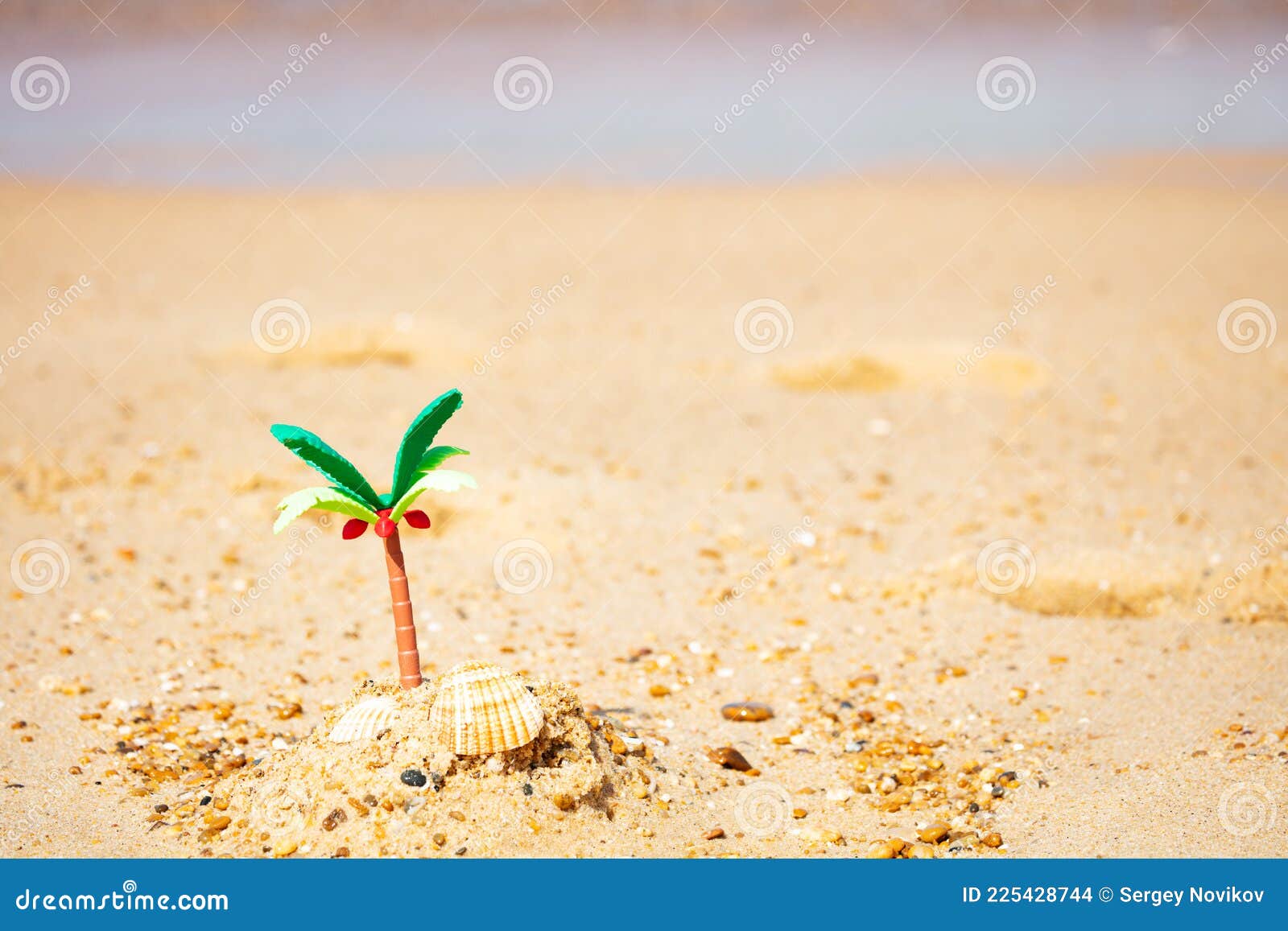 Miniature Palm Trees Stock Photography | CartoonDealer.com #152567666