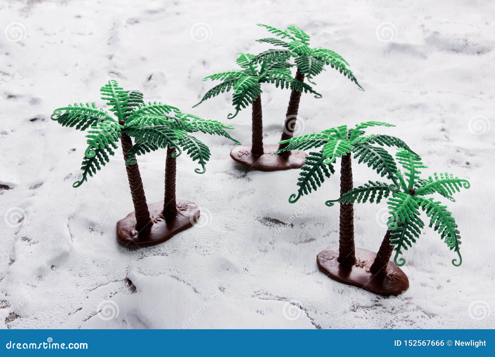 Miniature Palm Trees Stock Photography | CartoonDealer.com #152567960