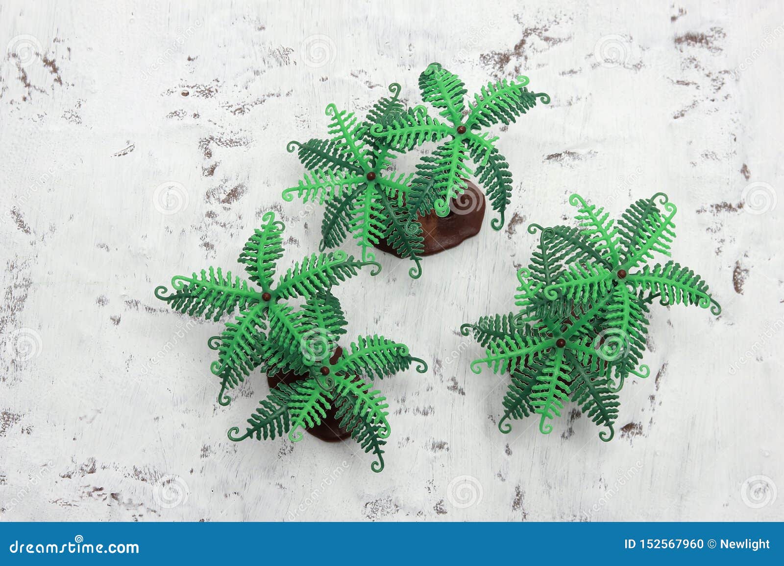 Miniature Palm Trees stock photo. Image of trees, texture - 152567960