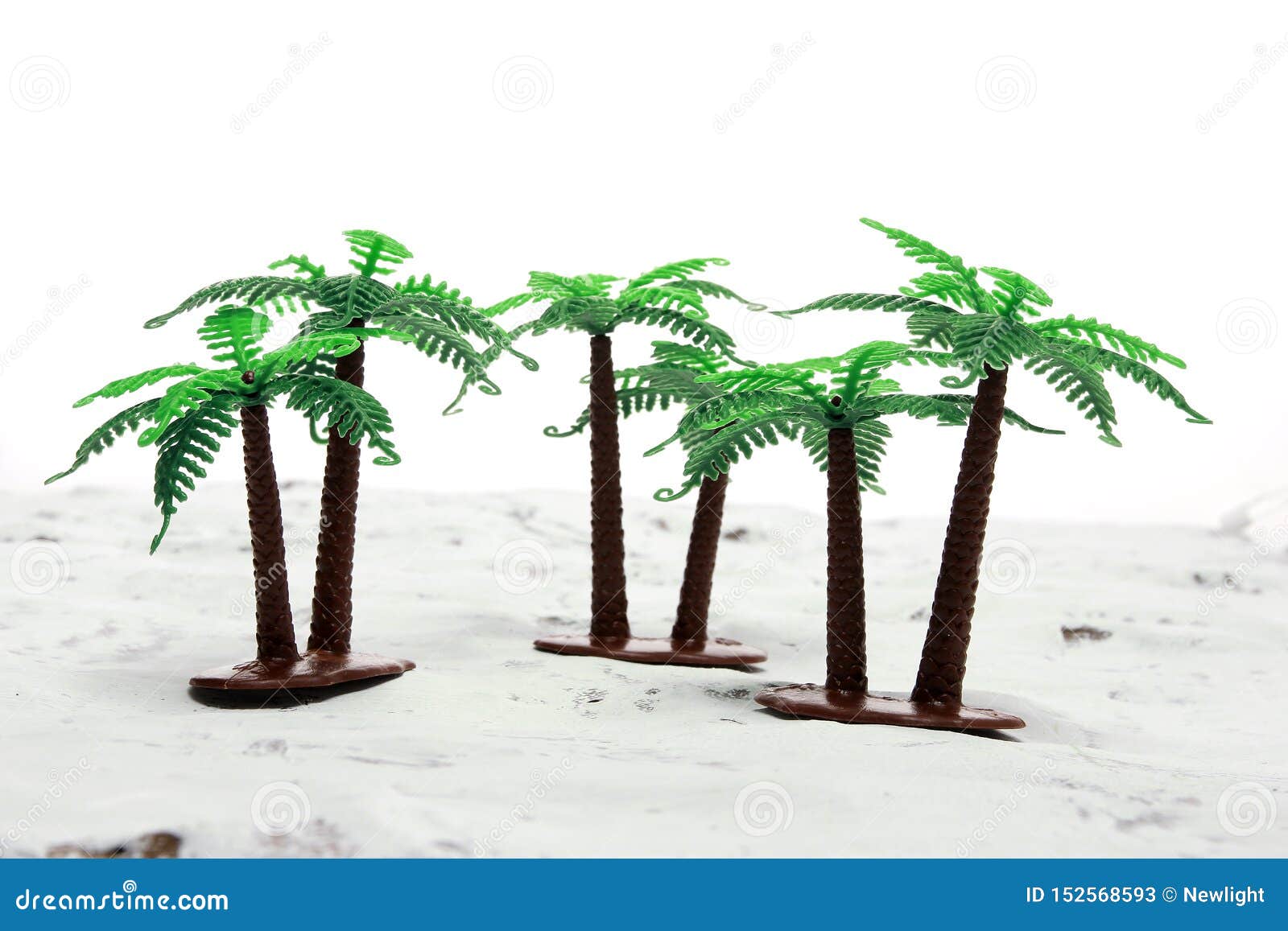 Miniature Palm Trees stock image. Image of foliage, vacation - 152568593
