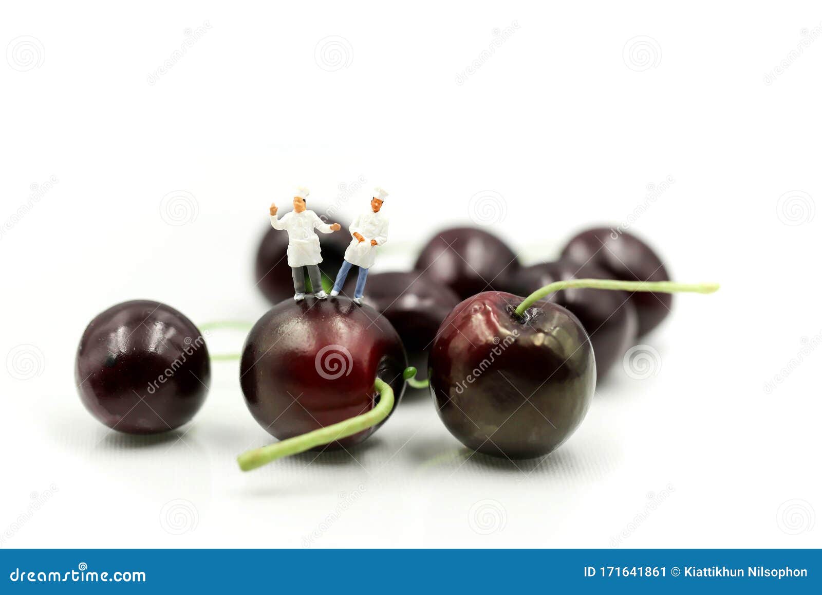 Miniature People : Chef with Cherrys,cherry Month Concept Stock Image ...