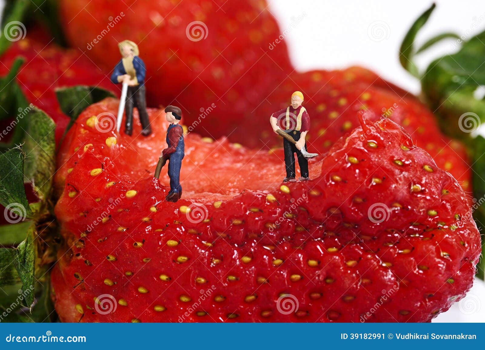 Miniature people stock image. Image of recreation, leisure - 39182991