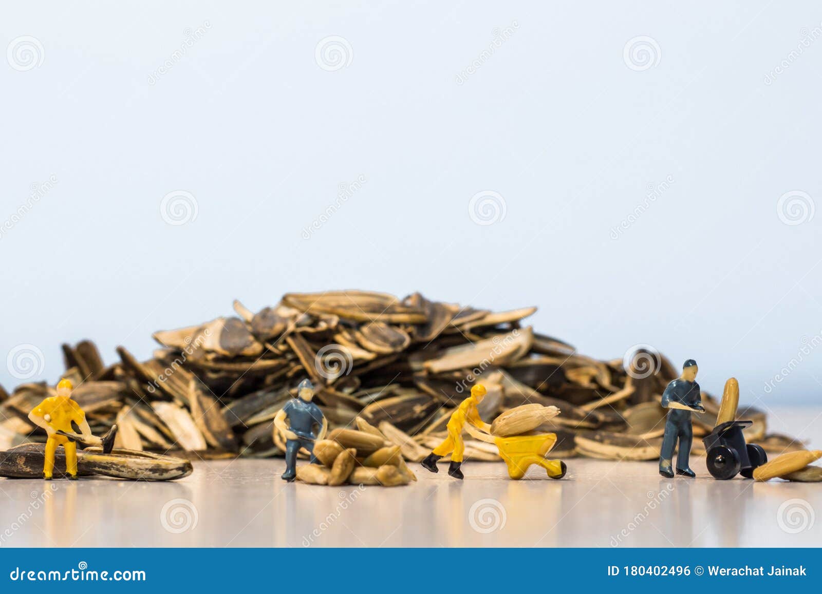 Miniature People : Workers Work on the Sunflower Seed Production ...