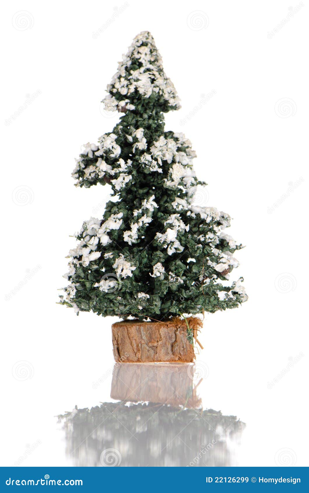 Miniature pine tree stock image. Image of beautiful, backdrop - 22126299