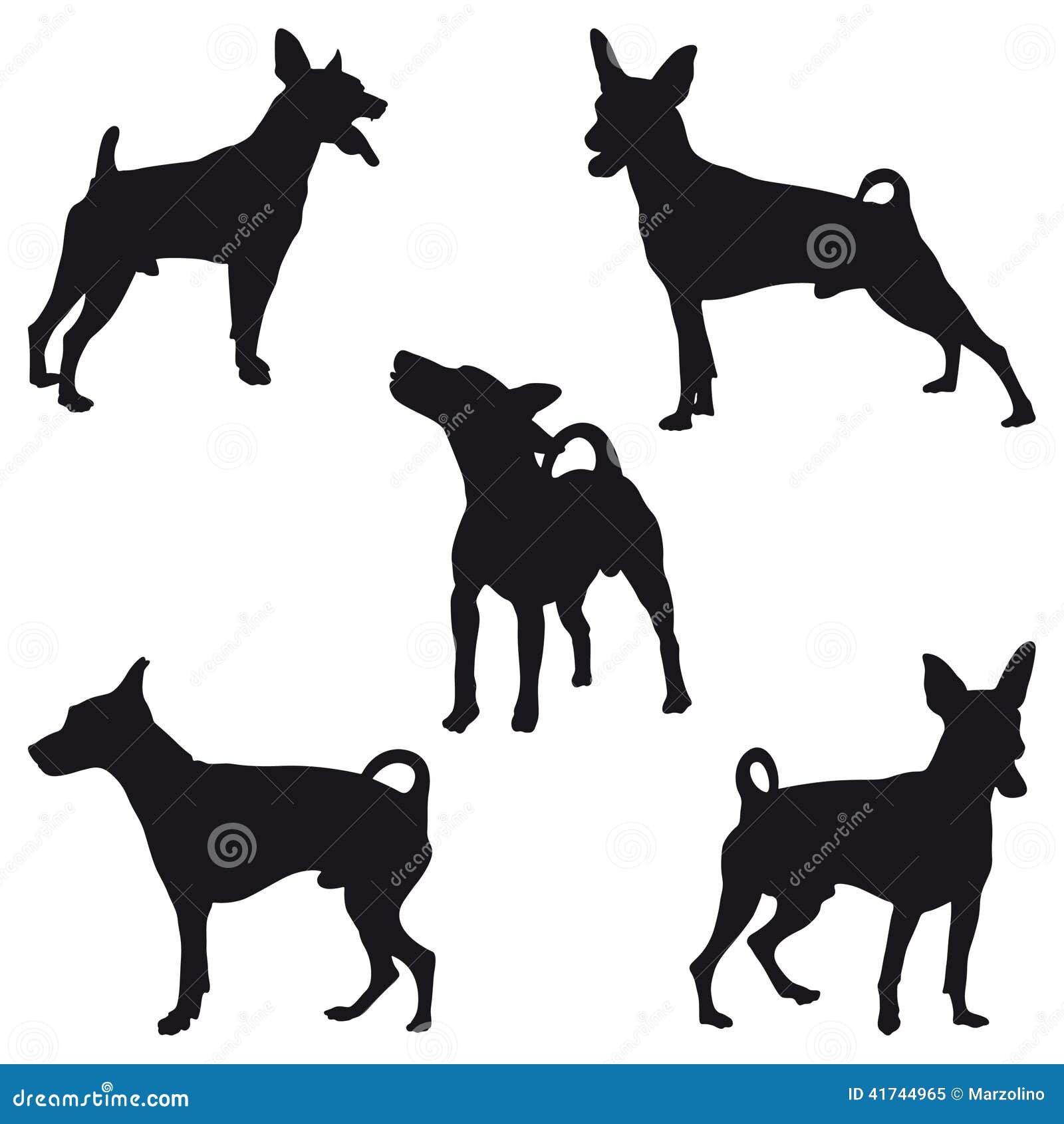 Miniature Pinscher. Vector Set Of Pinscher`s Face. Black And White ...
