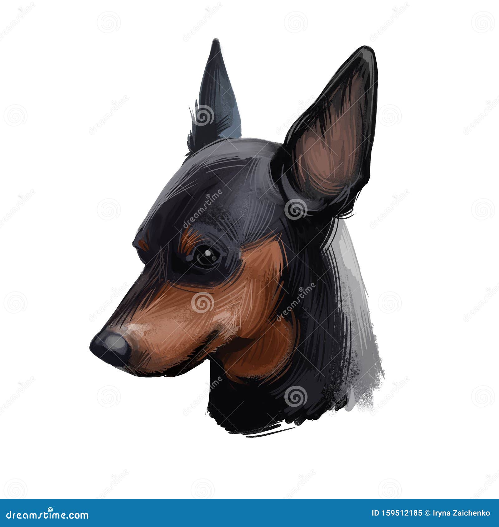 Miniature Pinscher, German Dog Breed Digital Art Illustration. Profile ... Miniature Pinscher, German Dog Breed Digital Art Illustration. Profile ...