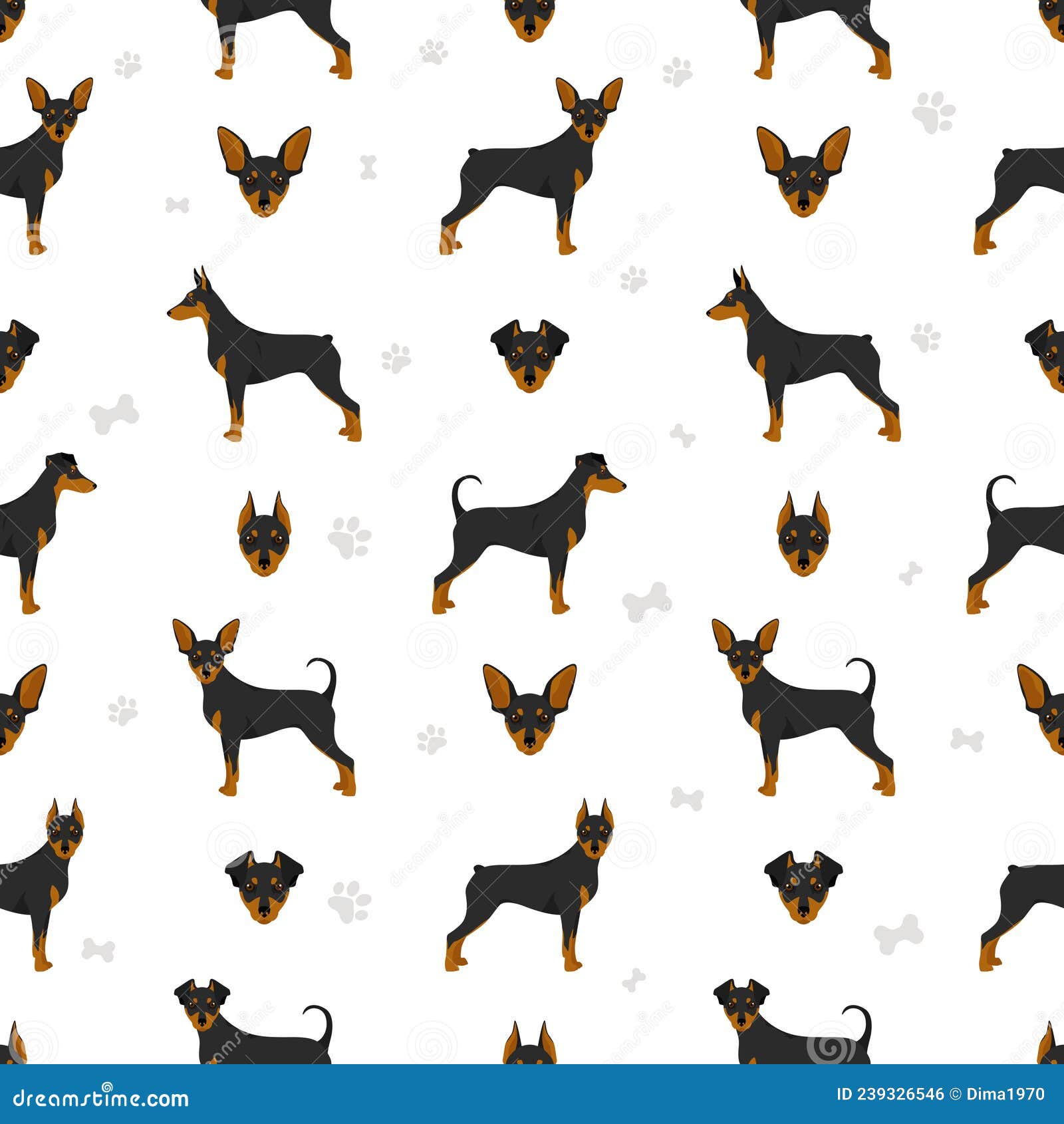 Miniature Pinscher Seamless Pattern. Different Poses, Coat Colors Set ...