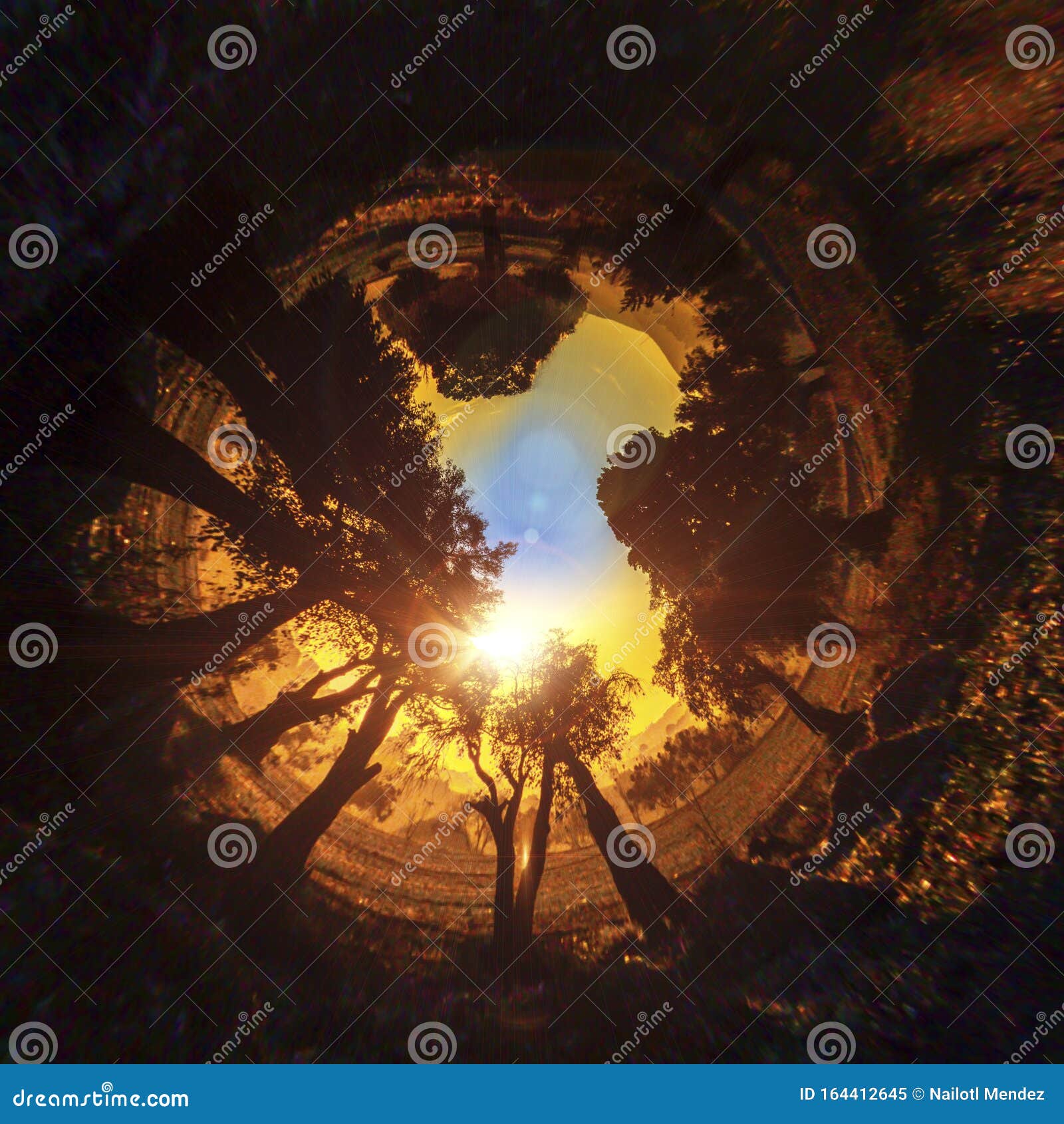 Miniature Planet Sunset in a Forest with the Sun in the Background ...