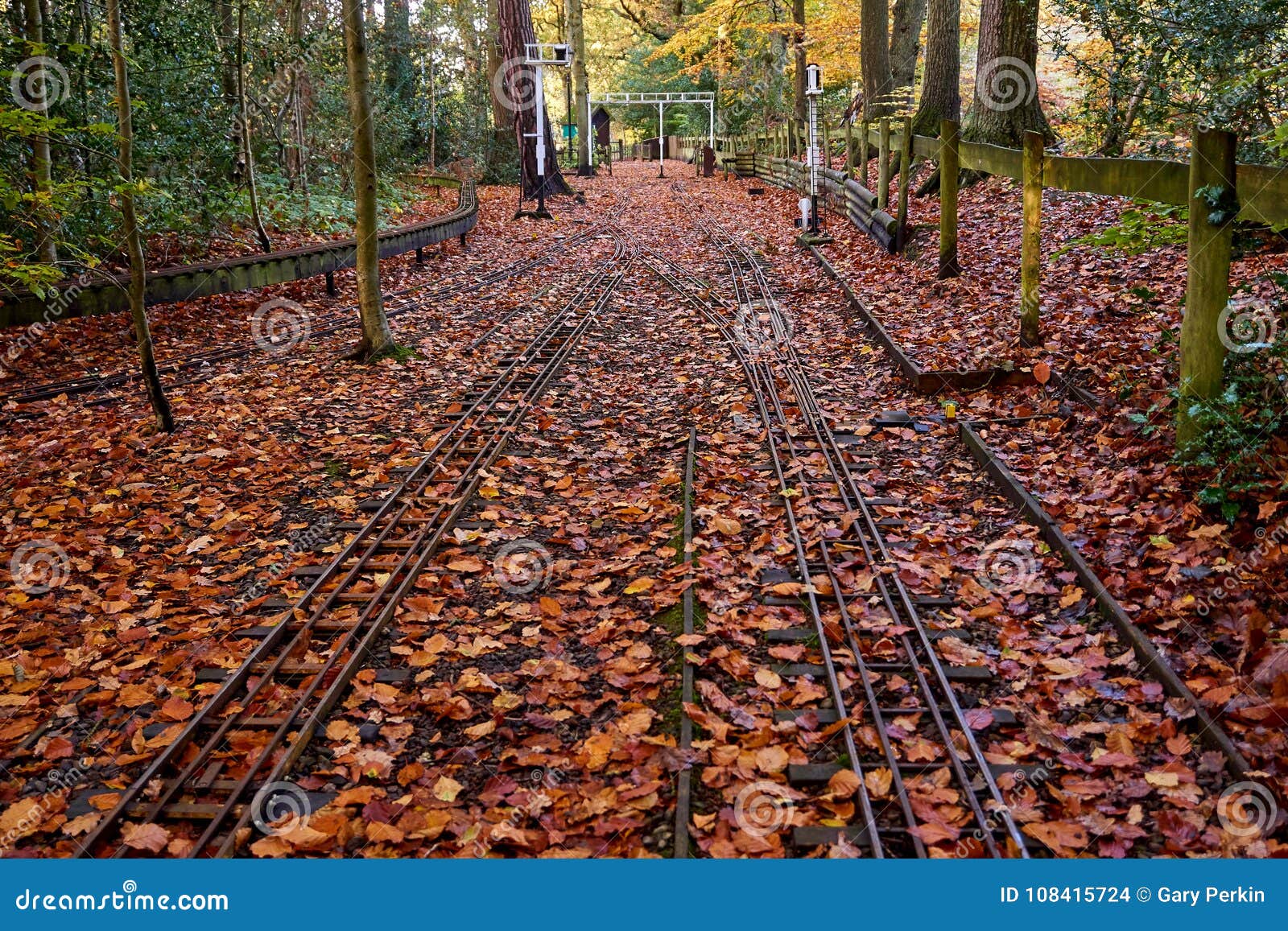 Miniature Railway Track Covered in Autumn or Fall Leaves Stock Photo ...