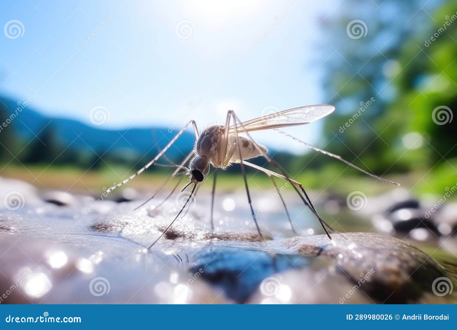 Miniature Robot Bug in Natural Setting. Stock Illustration ...