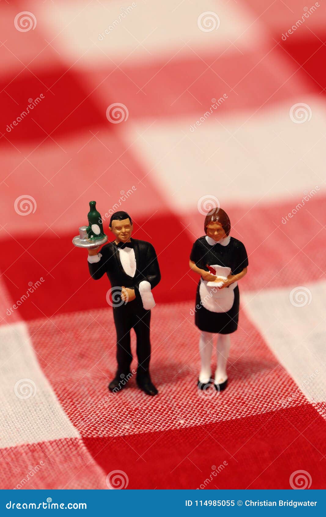 Miniature Scale Model Waiter and Waitress on Gingham Stock Image ...