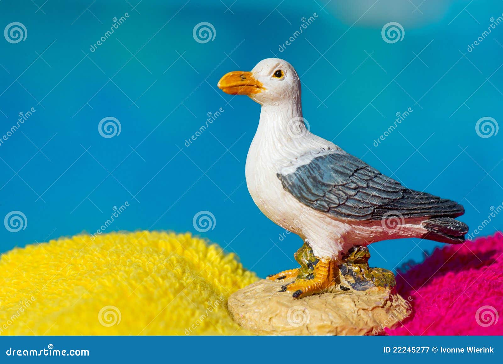 Miniature seagull stock image. Image of sunlight, sunny - 22245277