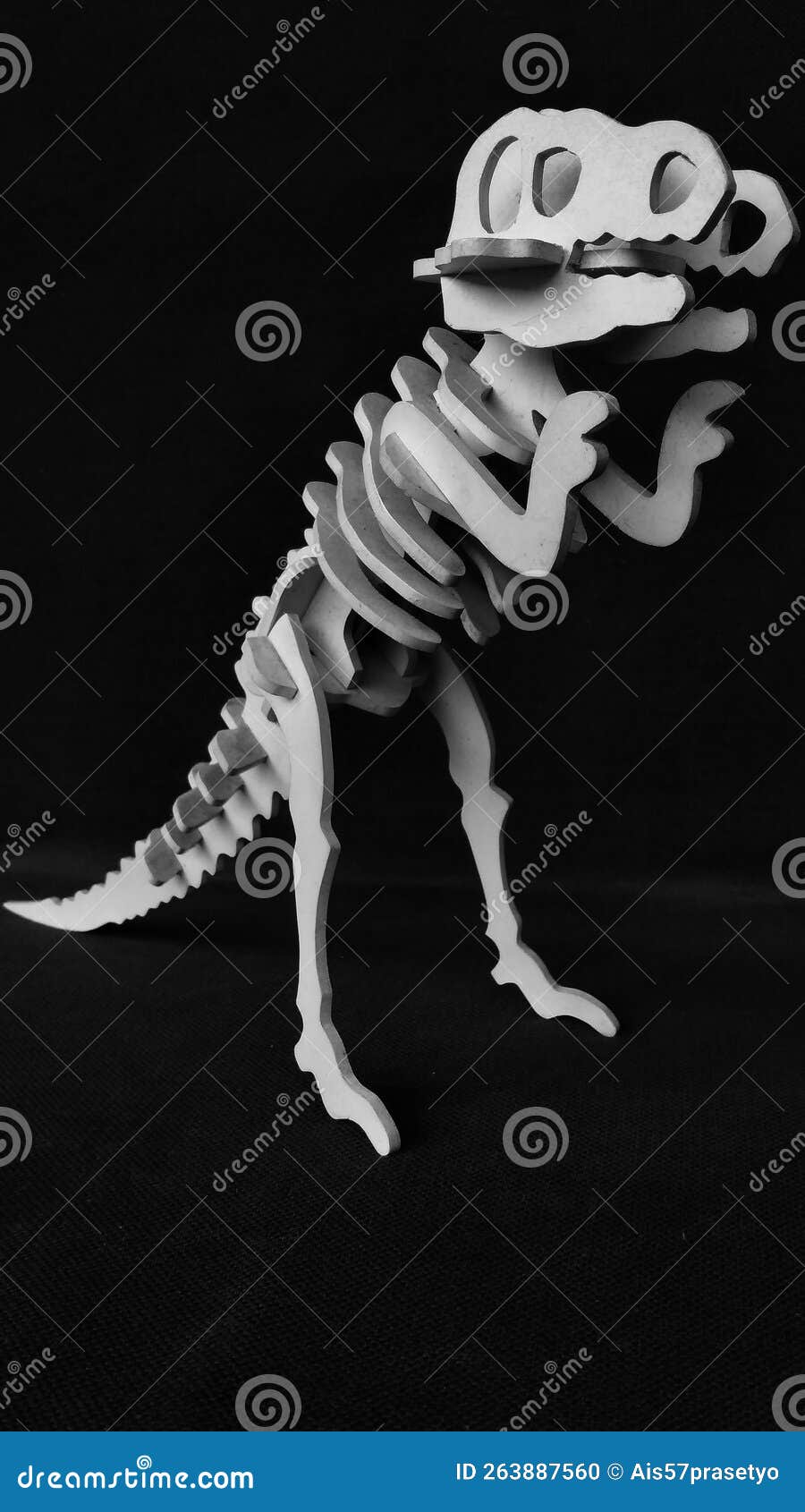Miniature t-rex dinosaur stock photo. Image of monochrome - 263887560