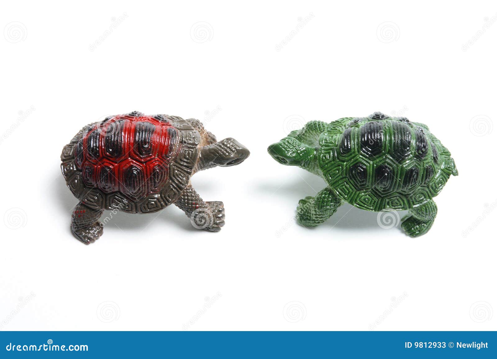 Miniature Tortoises stock image. Image of decoration, carapace - 9812933