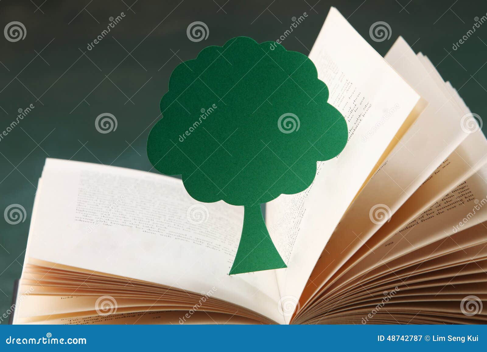Miniature Tree on Open Book Stock Image - Image of color, literature ...