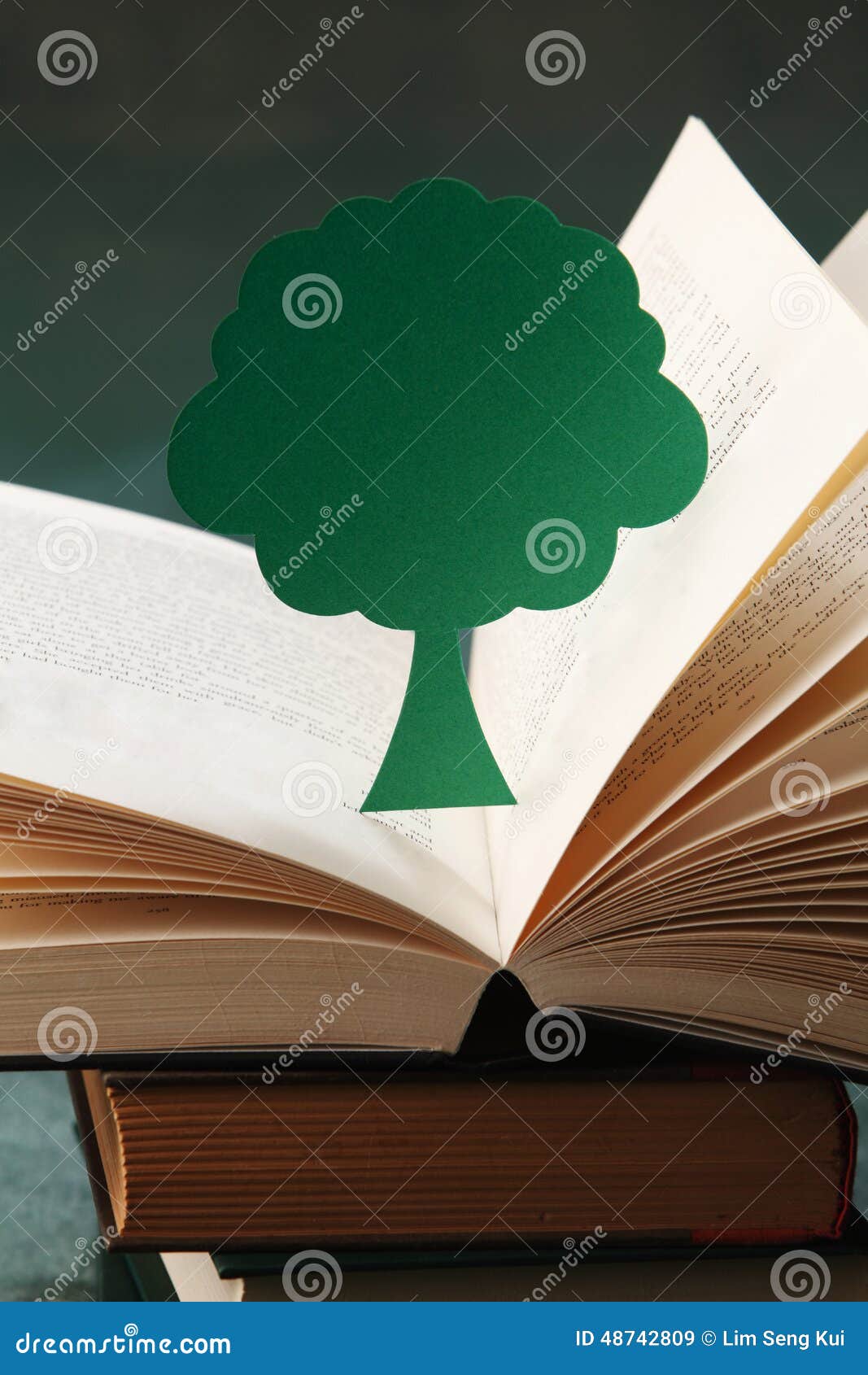 Miniature Tree on Open Book Stock Image - Image of close, focus: 48742809