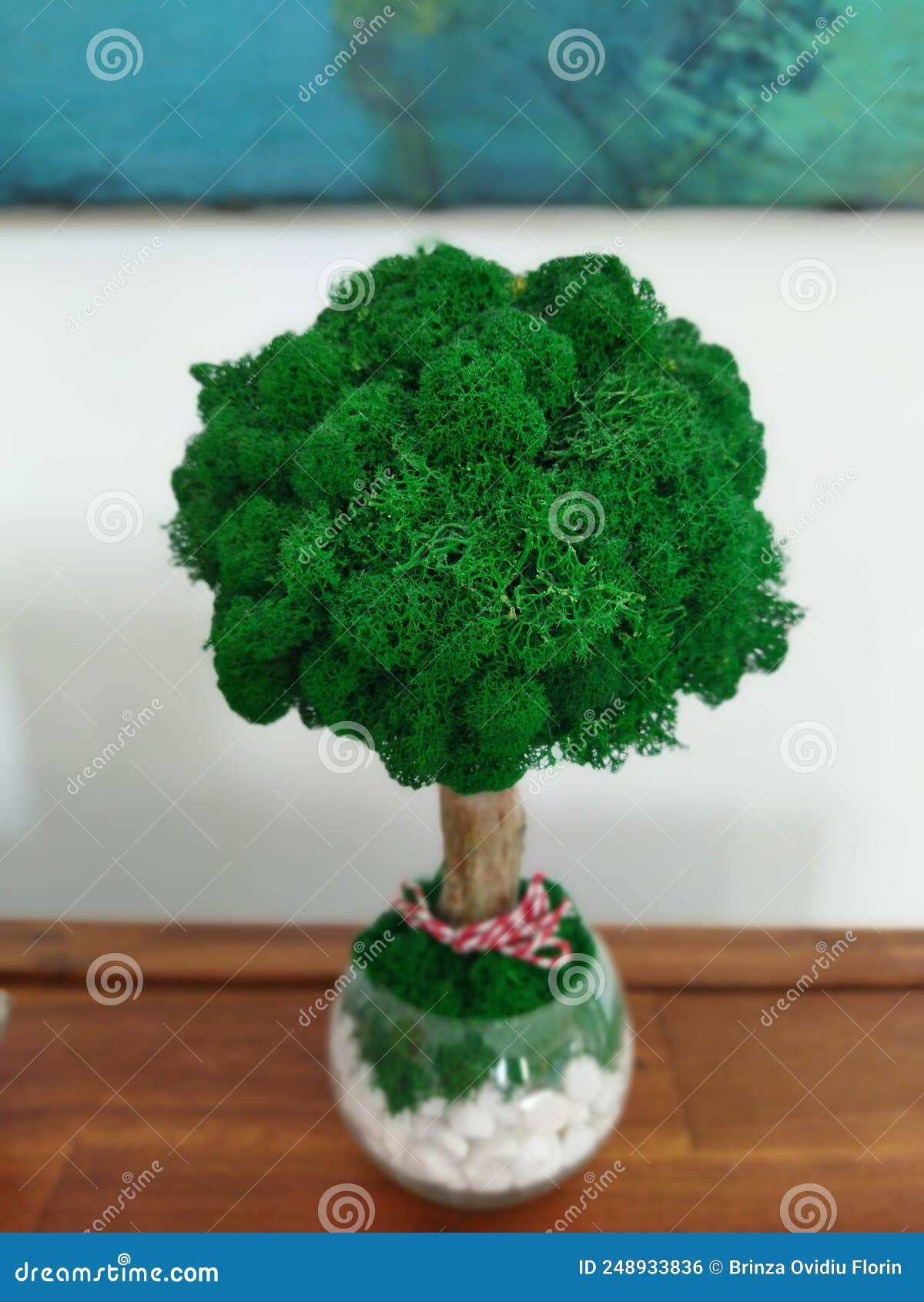 Miniature Tree, Bonsai, Isolated On White Background Royalty-Free Stock ...