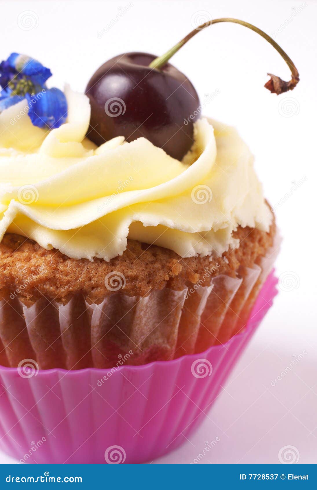 Miniature Vanilla Cupcake with Cherry Stock Image - Image of cake ...