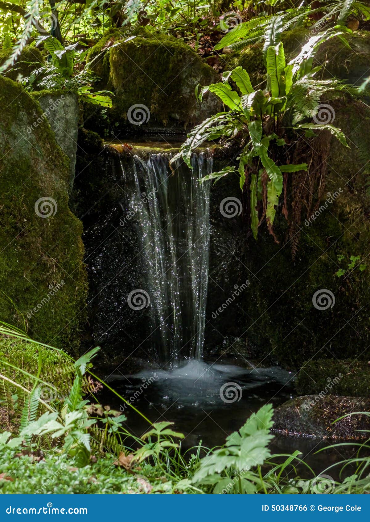 Miniature Waterfall stock photo. Image of bubbling, water - 50348766