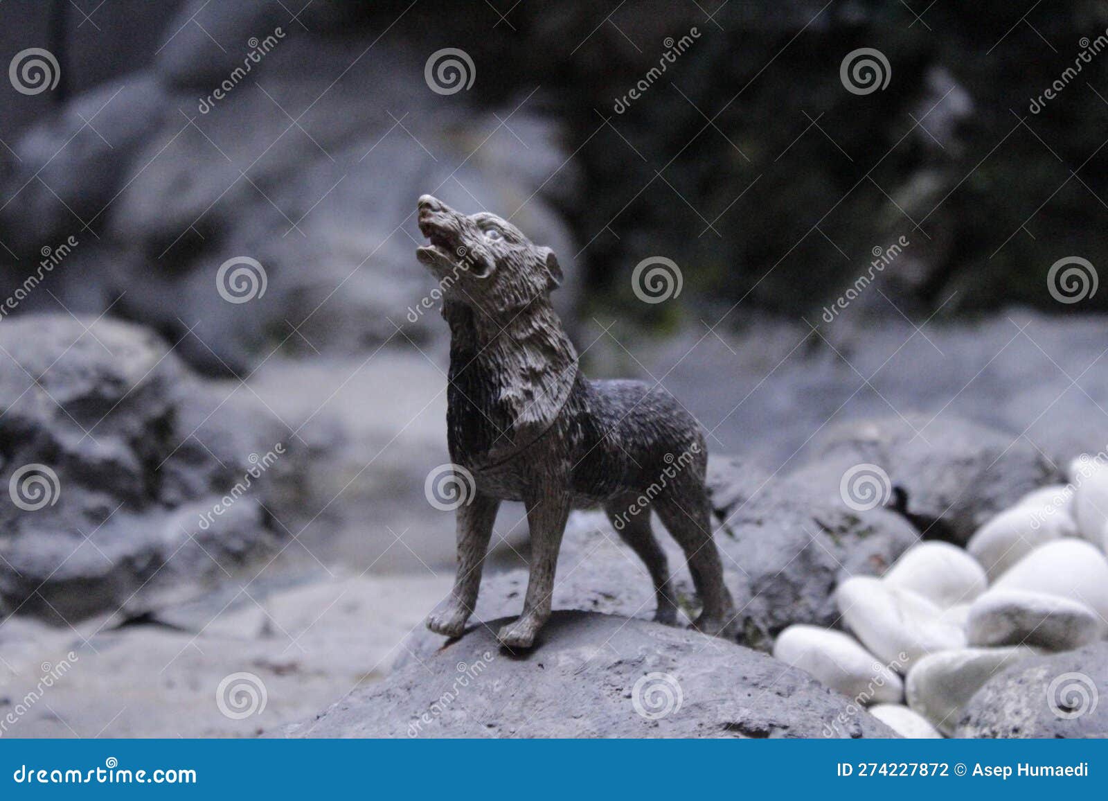 Miniature wolf stock photo. Image of whiskers, statue - 274227872