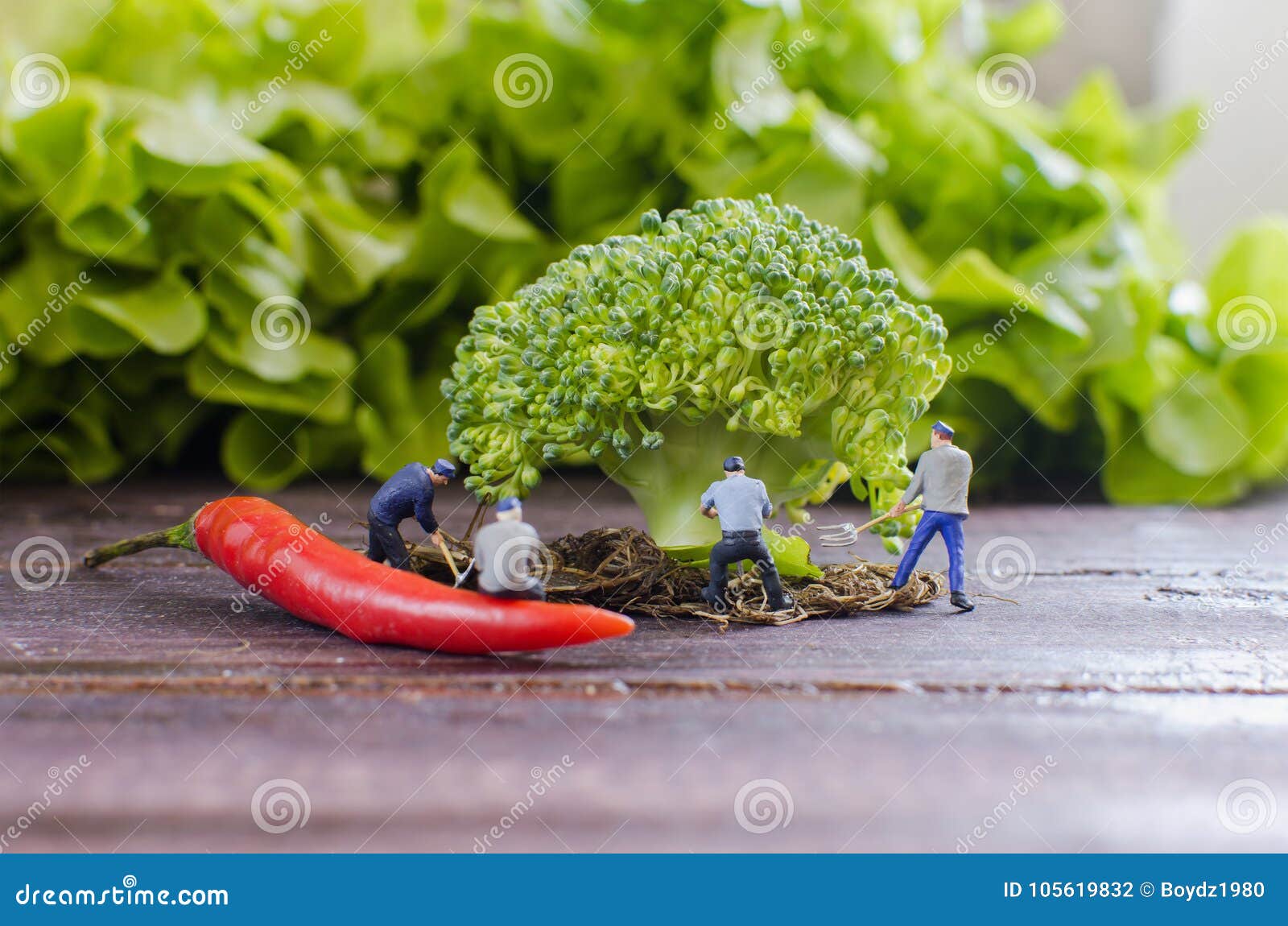 Miniature Worker Planting a Broccoli Tree Stock Photo - Image of kids ...