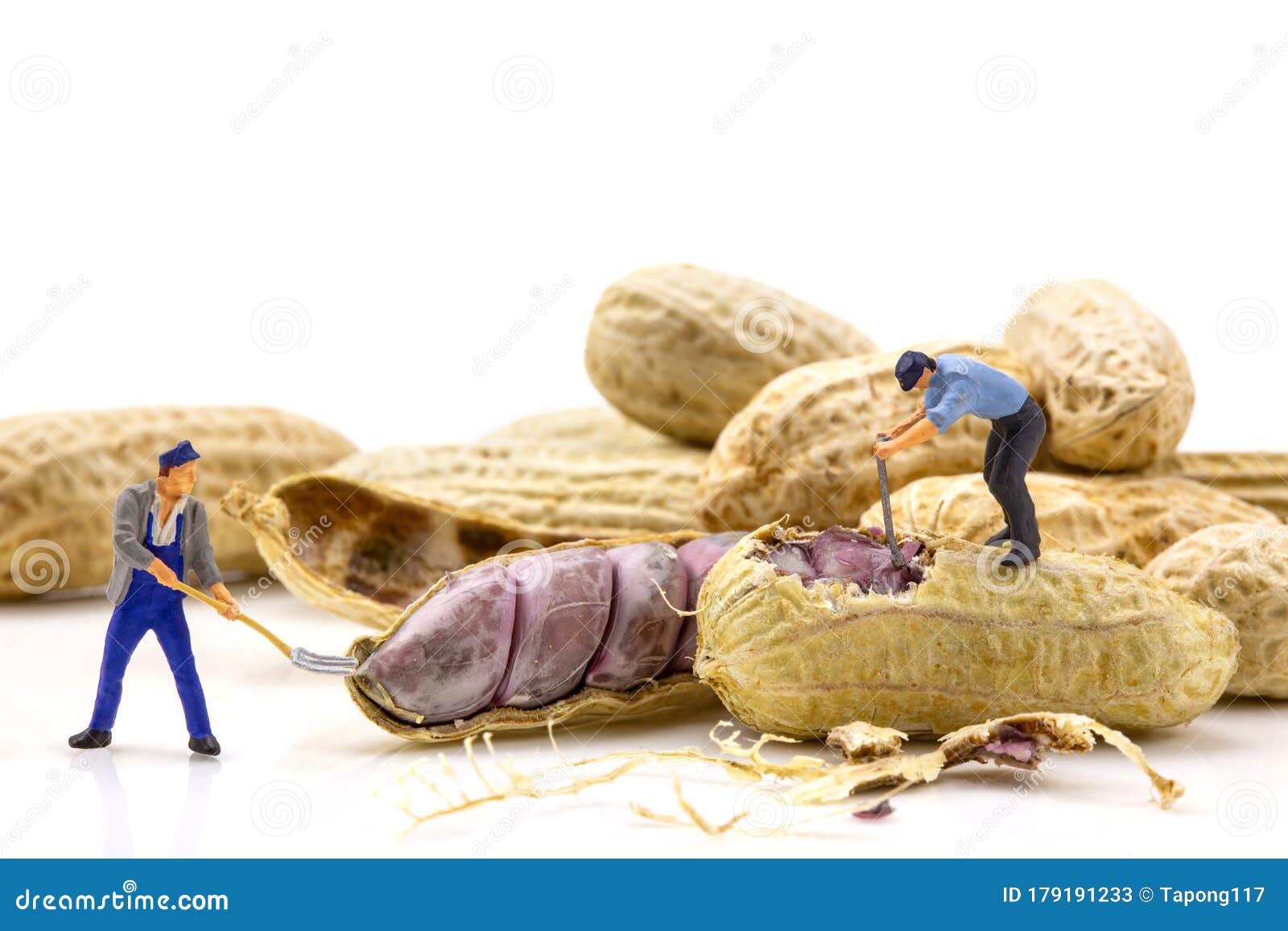 Miniature Workers in Collaboration Works and Agriculture Concept Stock ...